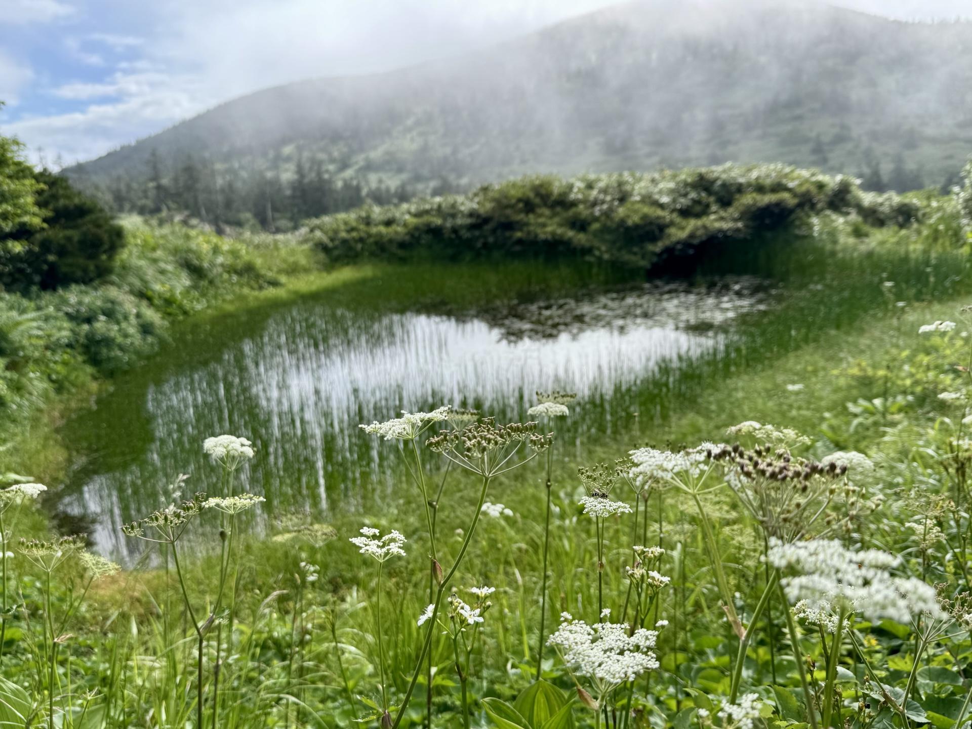 八甲田山（大岳） / mt.take4さんの八甲田山・高田大岳・雛岳の活動データ | YAMAP / ヤマップ