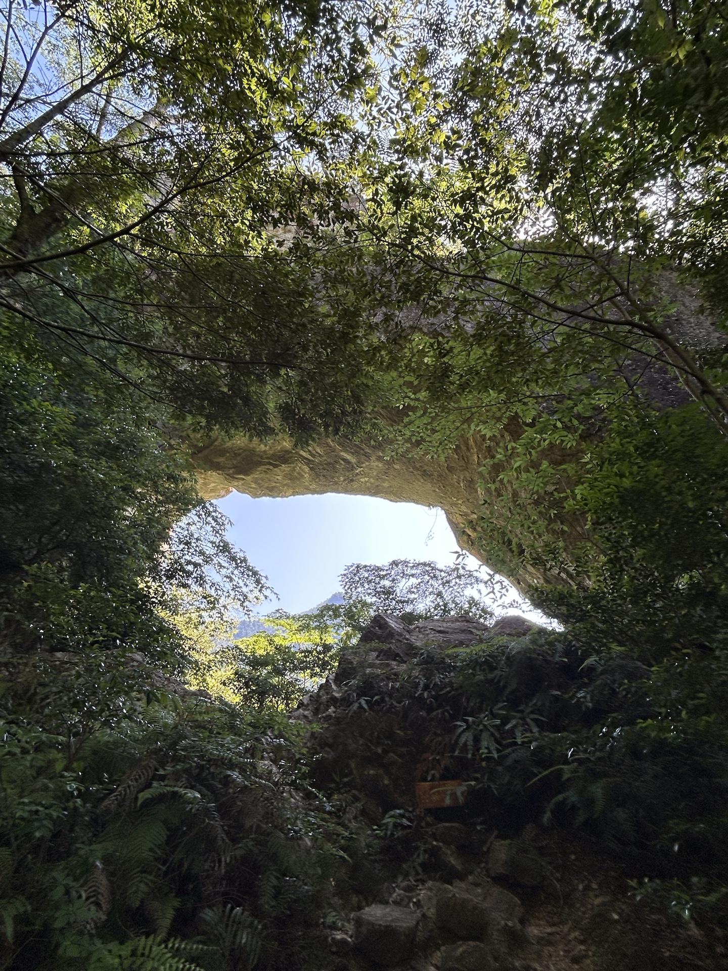 ⛰️🥾🪨乳岩•🏞️乳岩峡••まさかの😱恐怖体験 ️ / pokunさんの宇連山・鳳来寺山・岩古谷山の活動データ | YAMAP / ヤマップ
