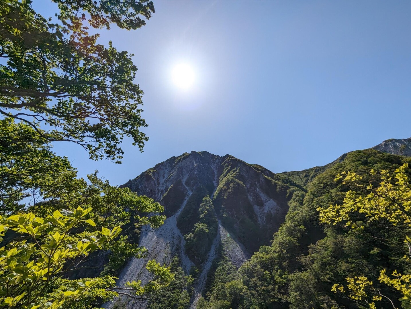 三鈷峰・象ヶ鼻・寂静山 / Ranさんの大山・甲ヶ山・野田ヶ山の活動データ | YAMAP / ヤマップ