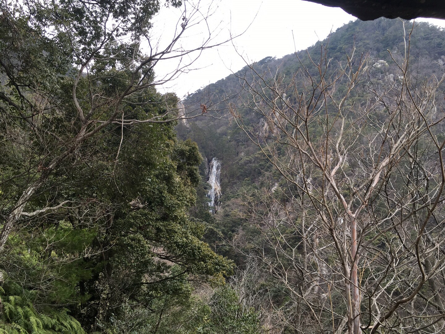 ヤケ山 モンベルツアー / kiyoppiさんの比良山地・武奈ヶ岳・釈迦岳の活動データ | YAMAP / ヤマップ