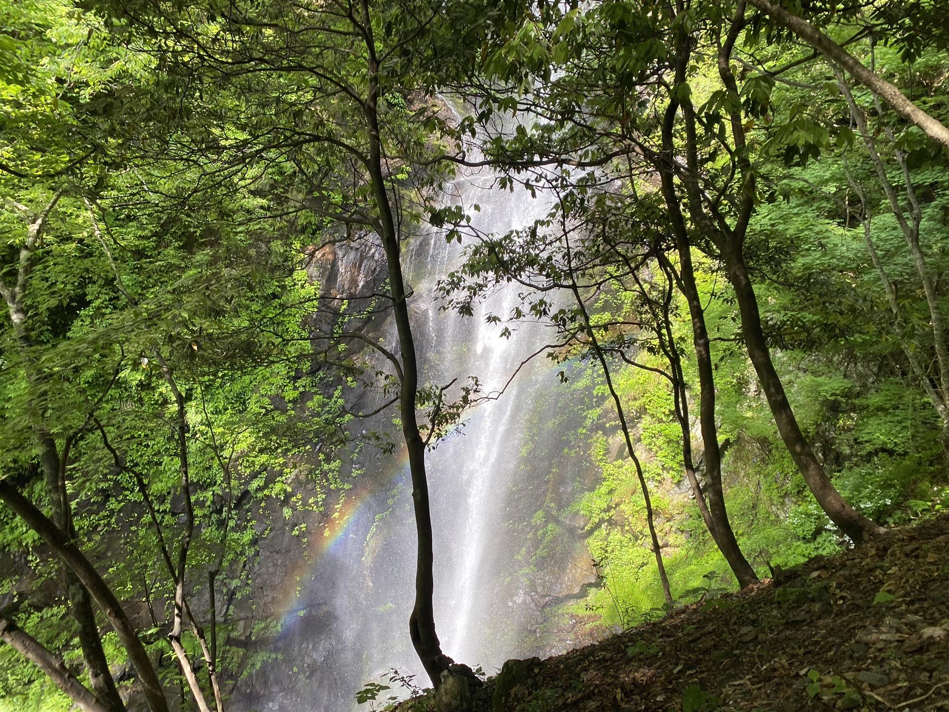 池木屋山・霧降山 / ゆすしょうゆさんの池木屋山の活動データ | YAMAP / ヤマップ