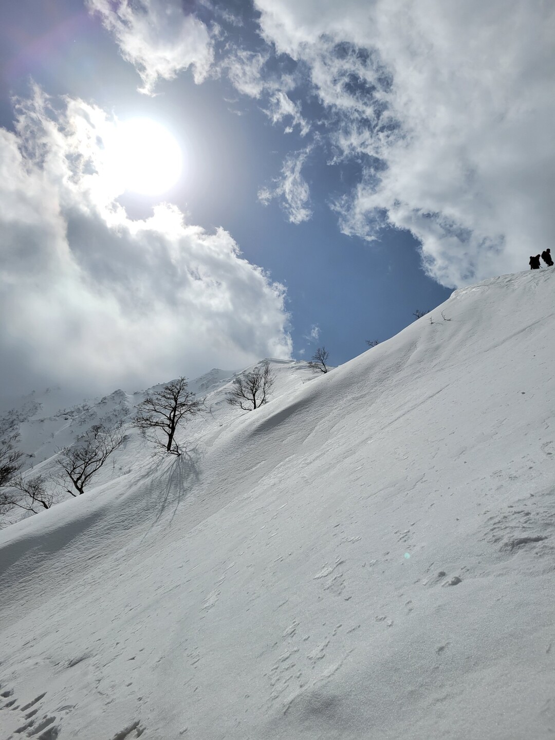 春一番 粘って出逢えた 大山（弥山） / shigeyoさんの大山・甲ヶ山・野田ヶ山の活動日記 | YAMAP / ヤマップ