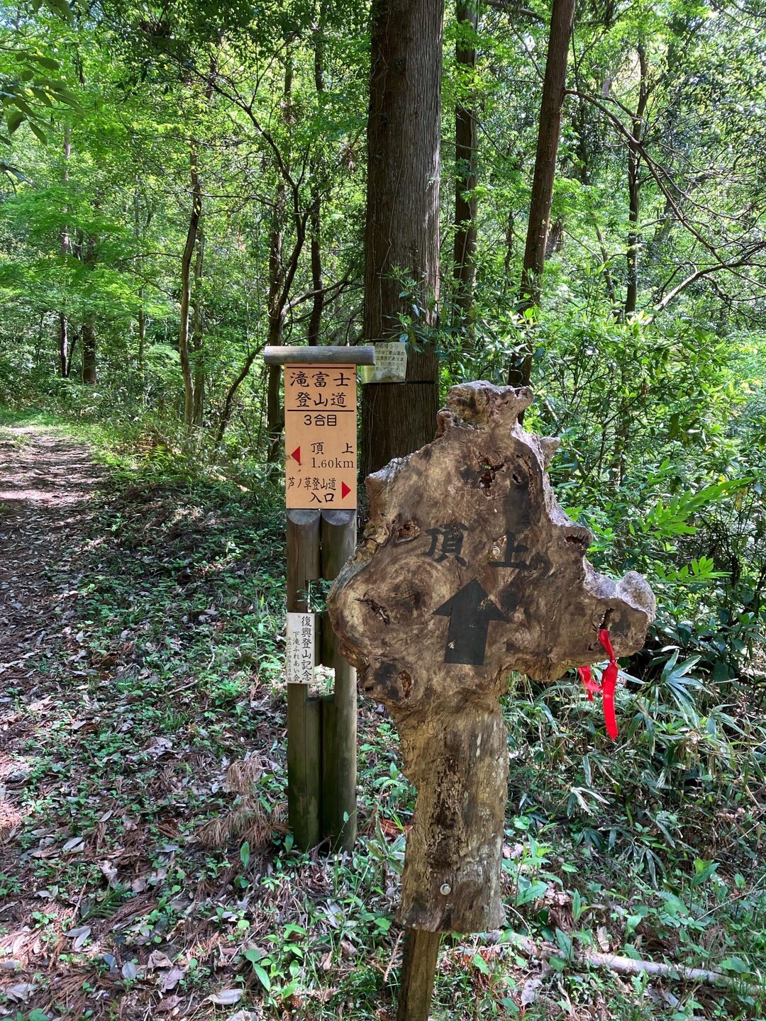 低山の滝富士をゆっくり堪能-2024-04-28 / 8Man.GTさんのウォーキングの活動データ | YAMAP / ヤマップ