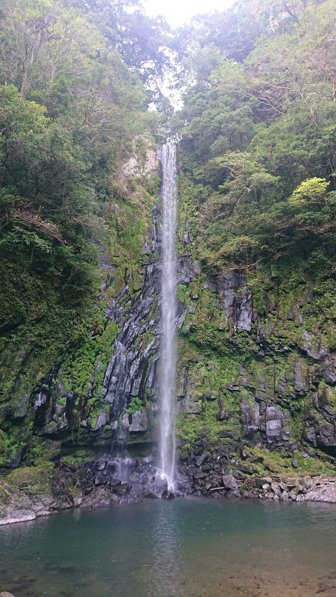 八戸観音滝 高さ41m!まっすぐに落ちる... / nappiさんのモーメント | YAMAP / ヤマップ