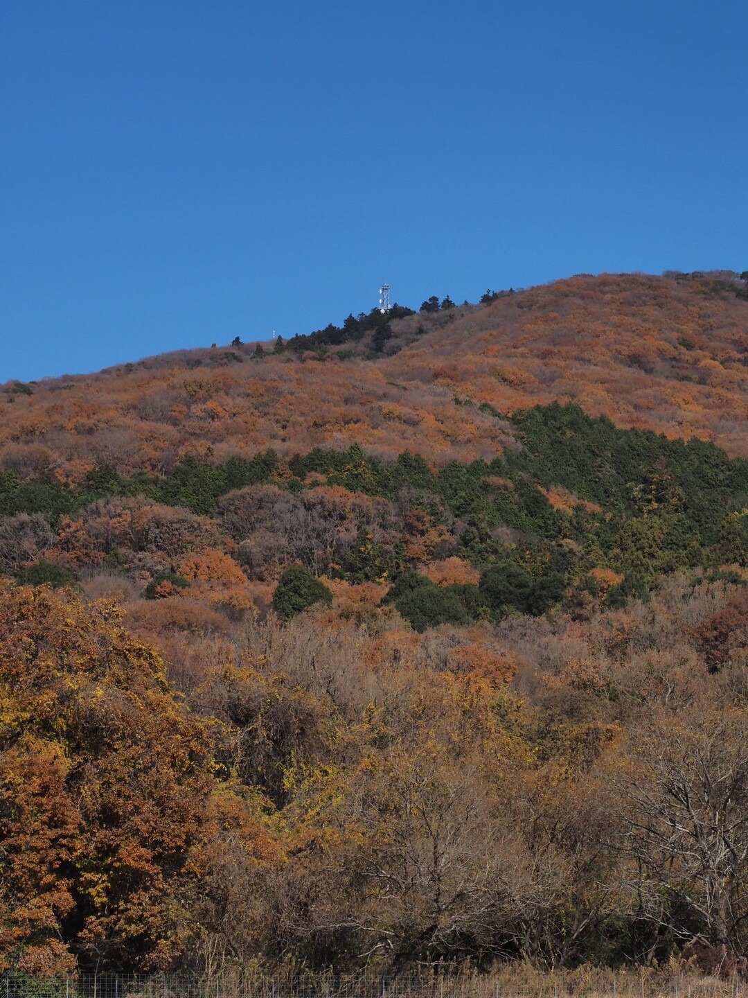 宝篋山・尖浅間山 / maxさんの宝篋山・富岡山の活動データ | YAMAP / ヤマップ