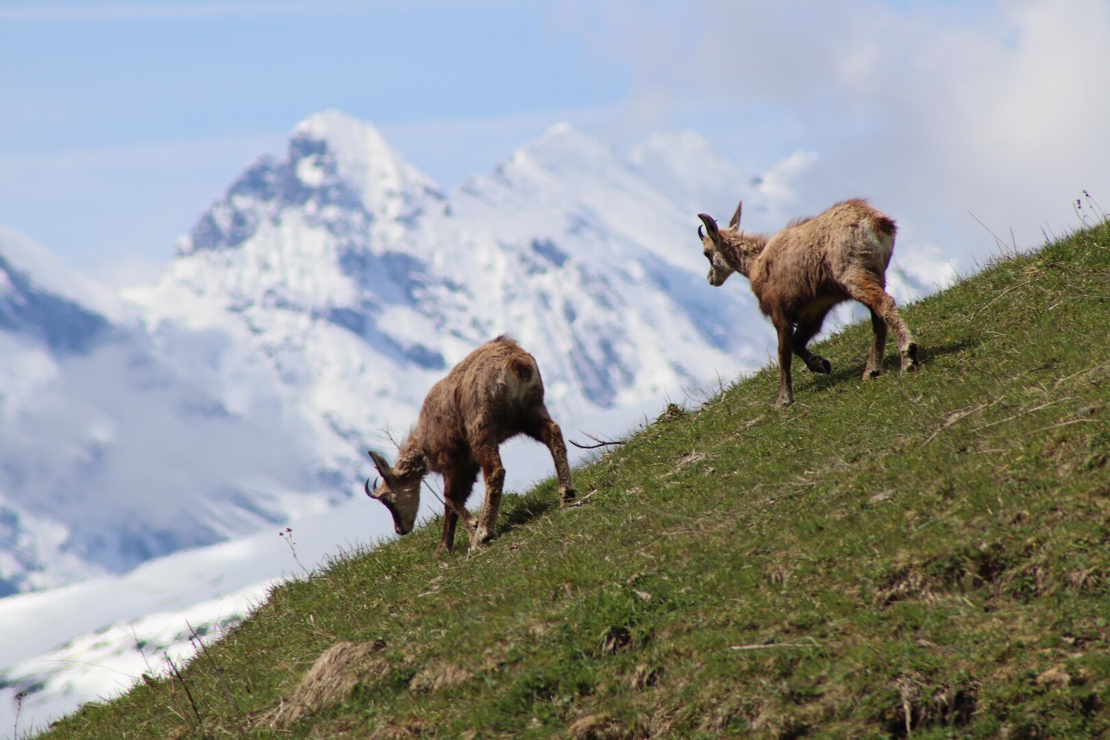 arichiのページ | YAMAP / ヤマップ