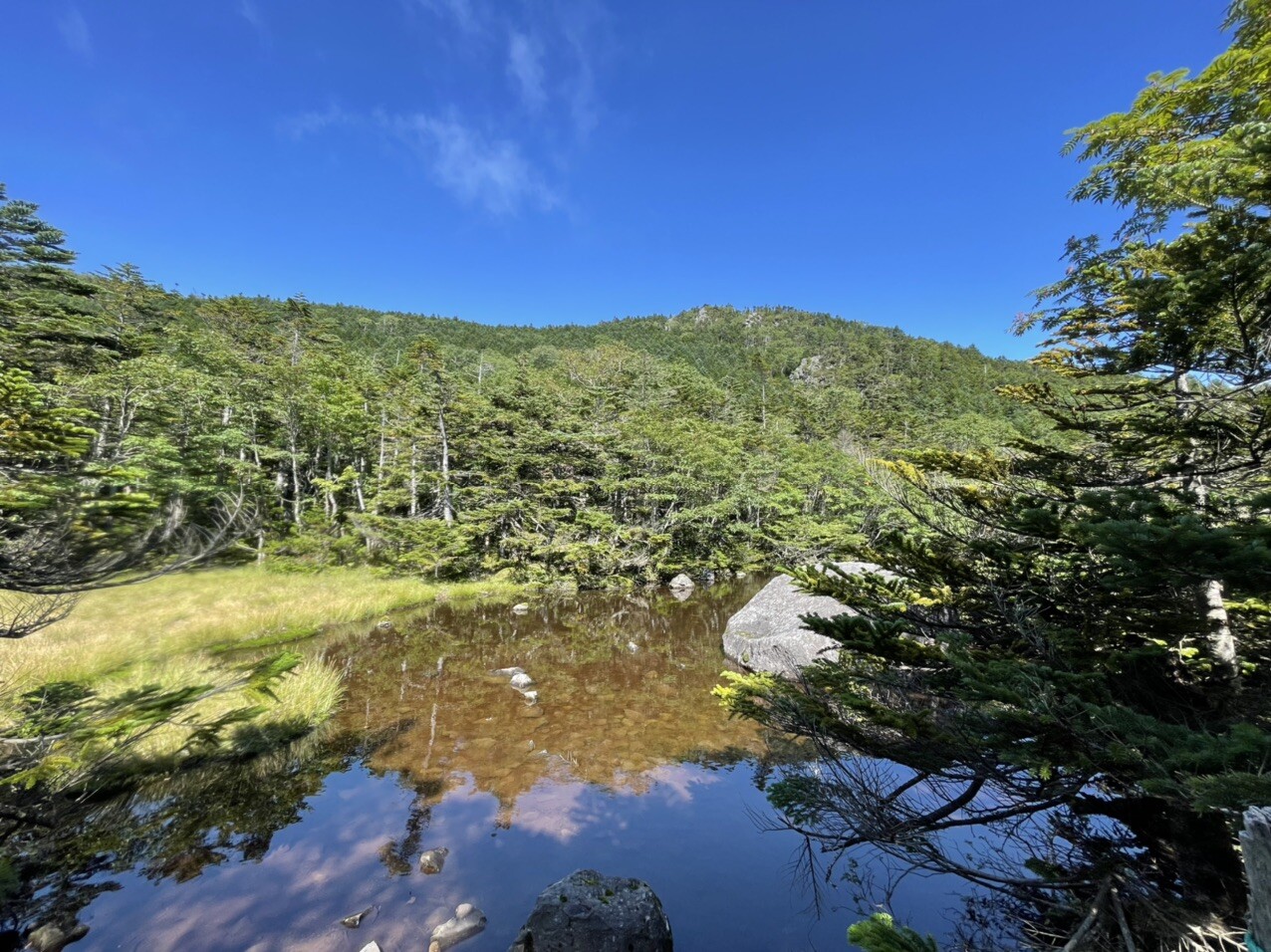 りむーのページ | YAMAP / ヤマップ