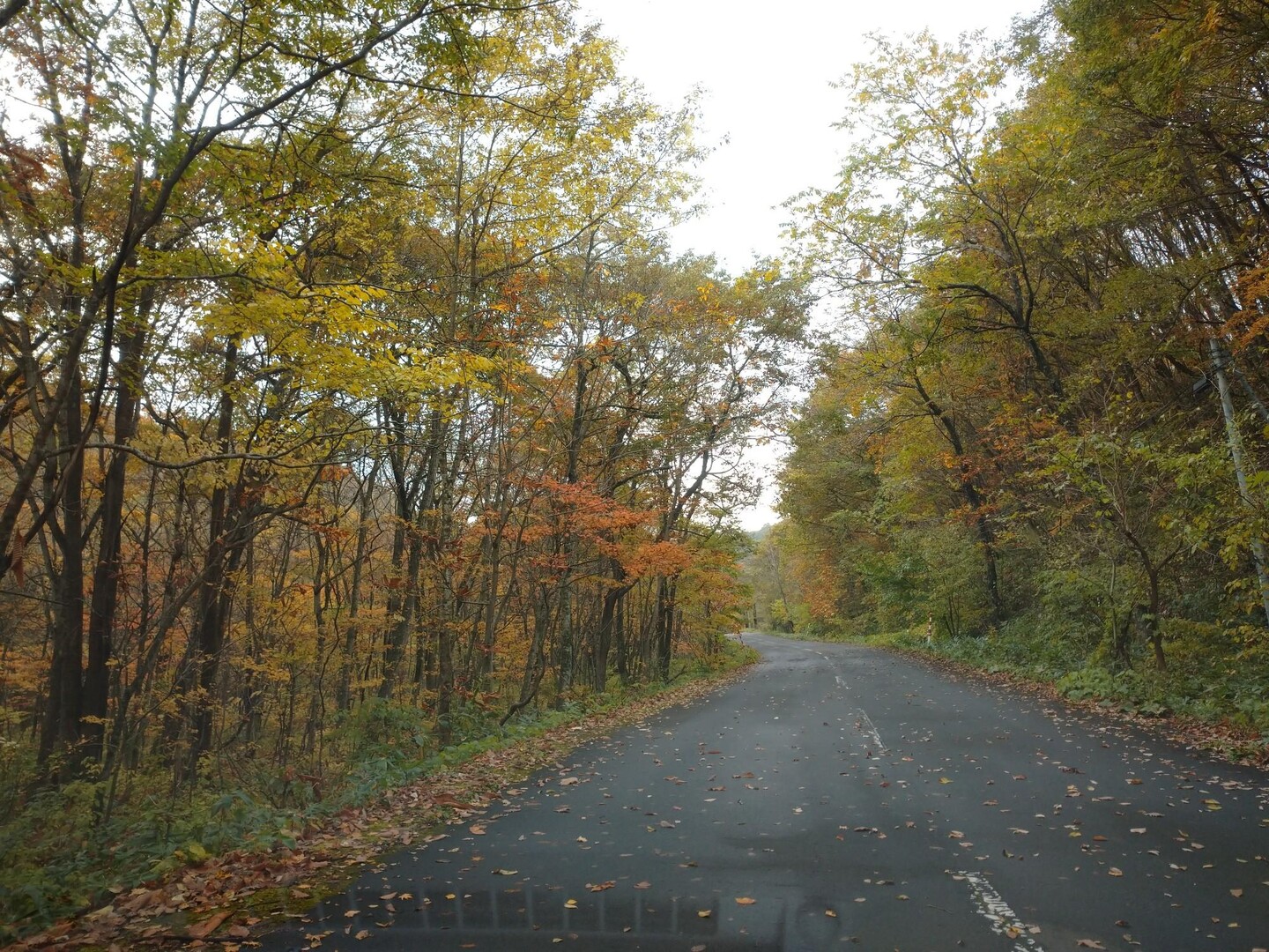 登山口に着いたら雨が降りだし、第2候補も... / yuuさんのモーメント | YAMAP / ヤマップ