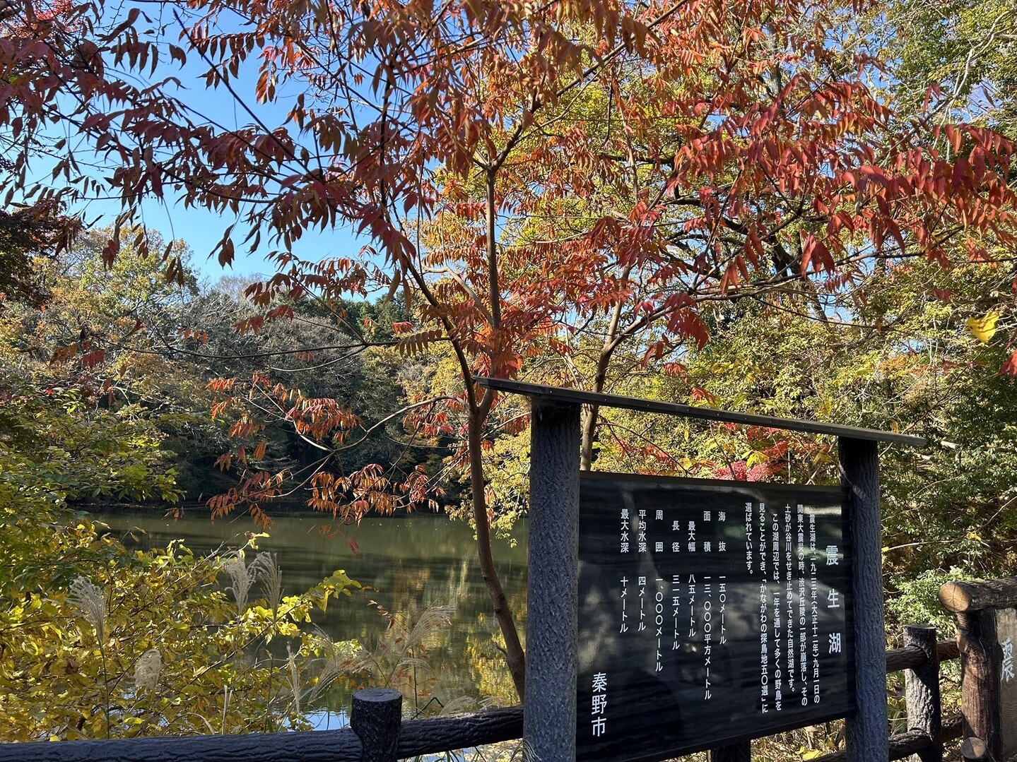 浅間台・八国見山・頭高山 / Sa-yu-rinさんの八国見山・頭高山の活動データ | YAMAP / ヤマップ
