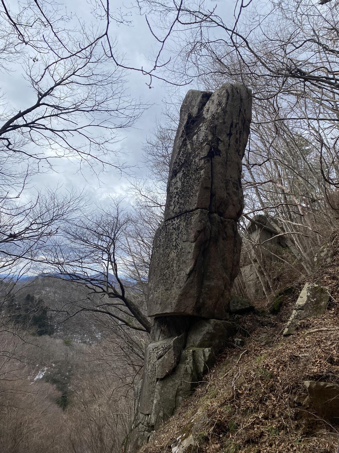 花塚山・北峰 / sanaviさんの花塚山の活動データ | YAMAP / ヤマップ