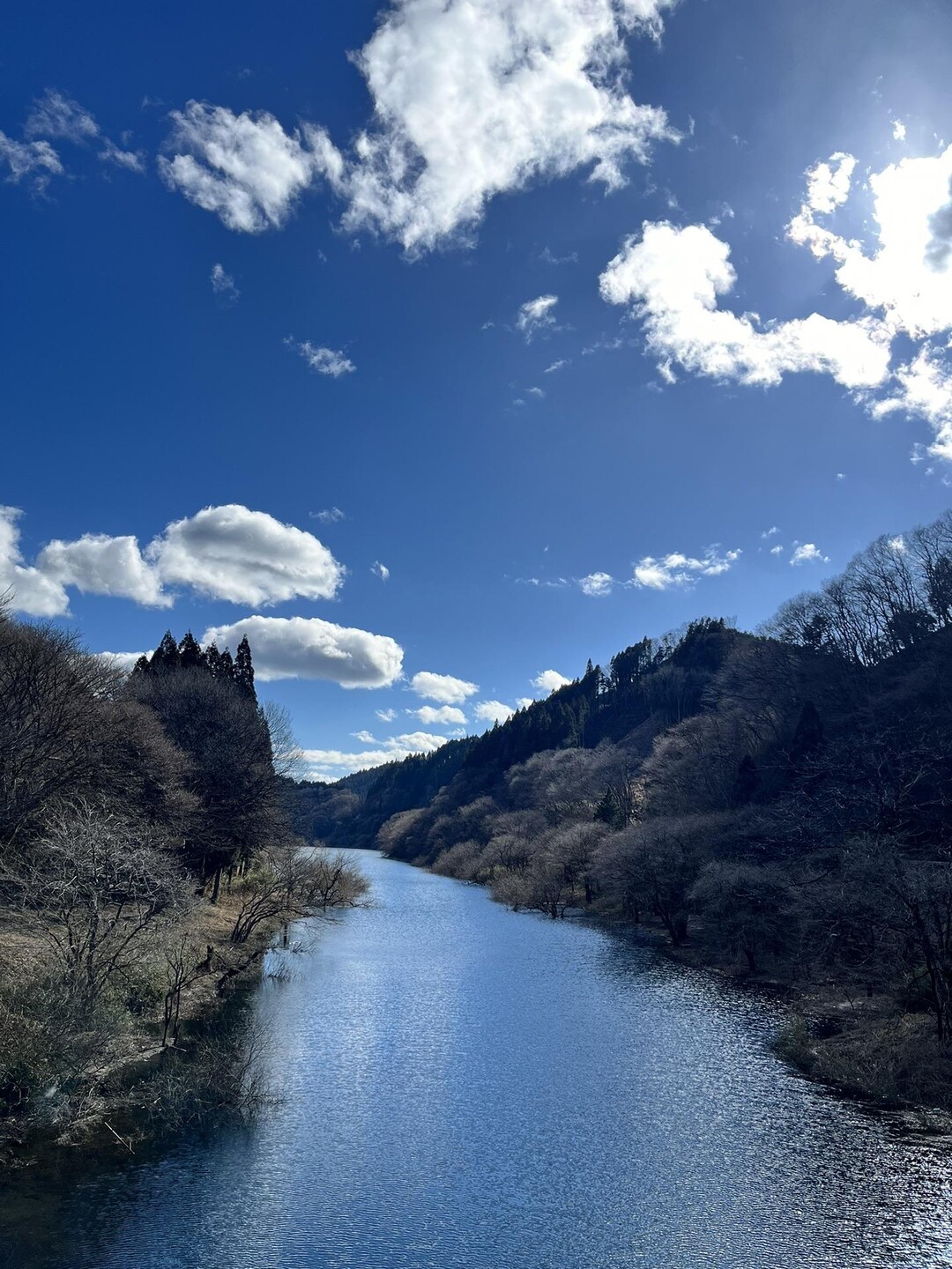 心が癒された水沼山・鷹巣山 / maruさんの鷹巣山の活動データ | YAMAP / ヤマップ