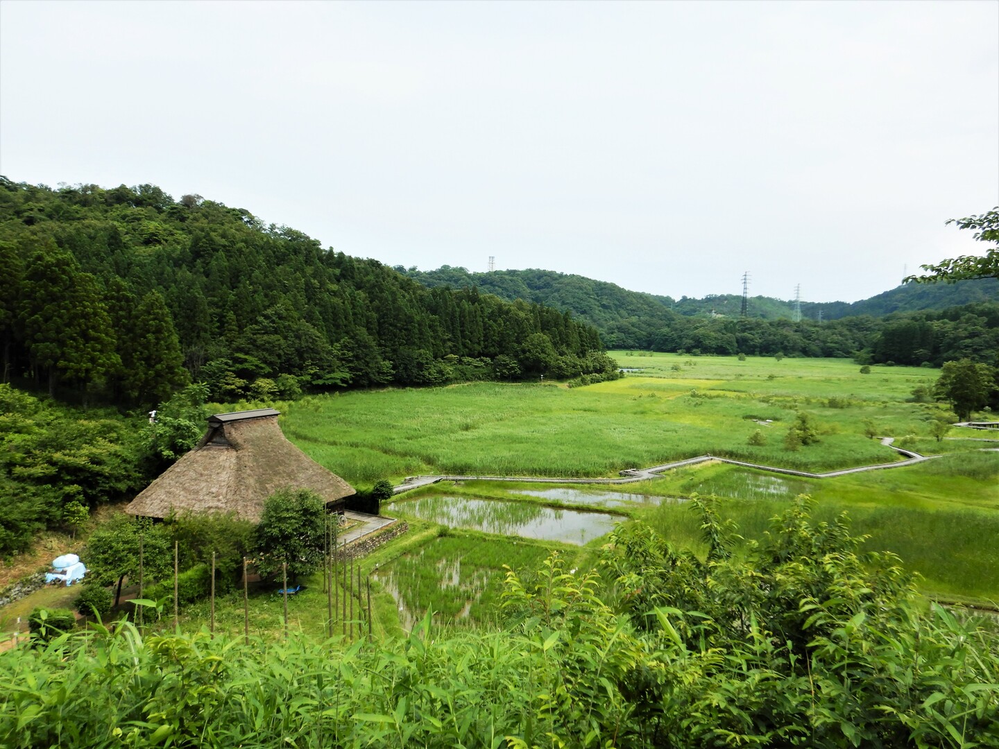 天筒山と敦賀街歩き / kol-hiraさんの天筒山・中池見湿地の活動データ | YAMAP / ヤマップ