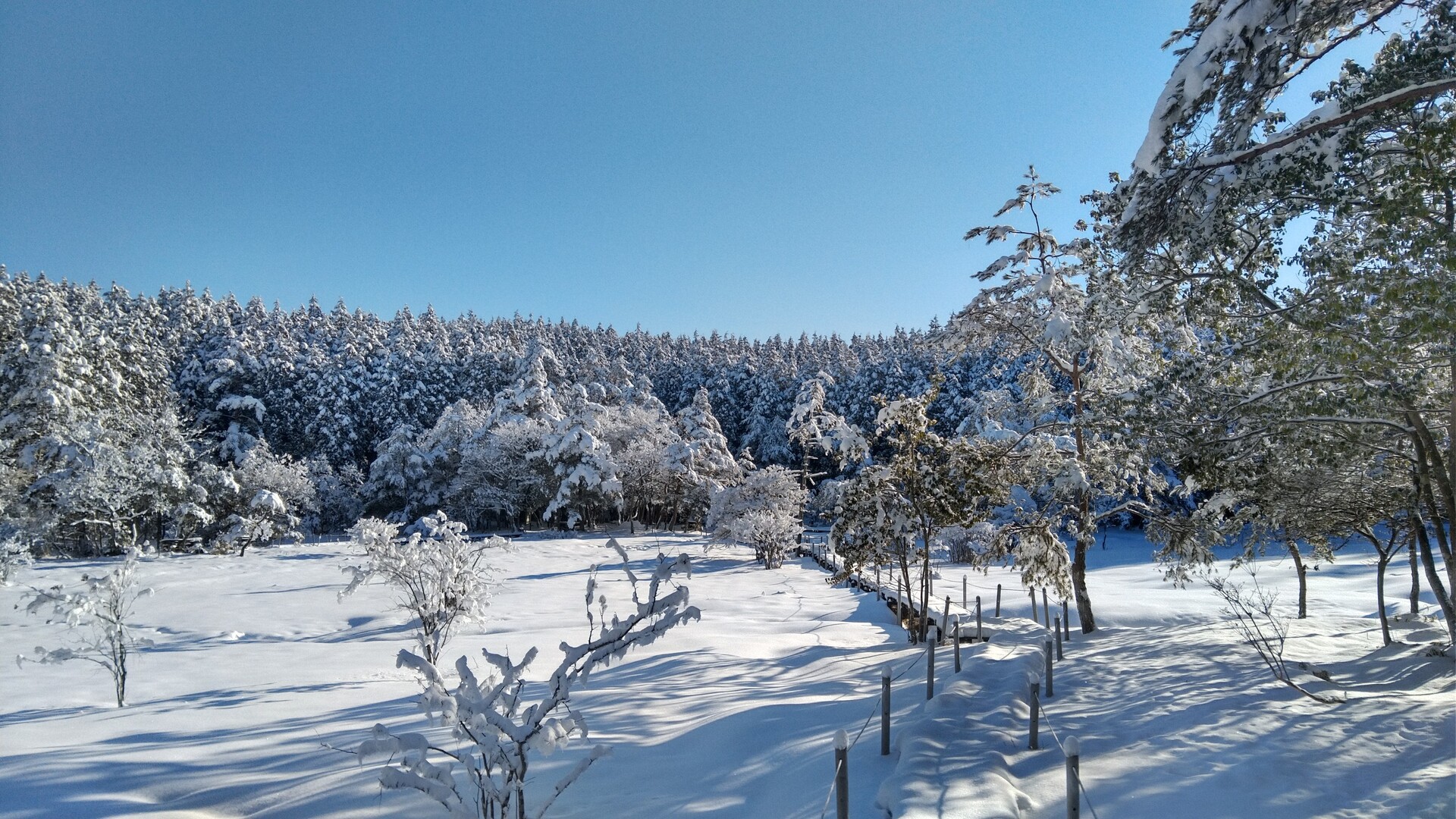 またまた雪の屏風山へ / fiat124としさんの屏風山の活動データ | YAMAP / ヤマップ