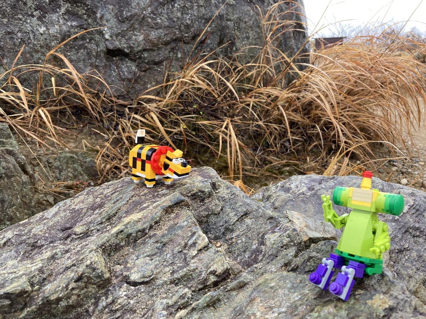 雷山 / Suyamaさんの雷山・井原山の活動データ | YAMAP / ヤマップ