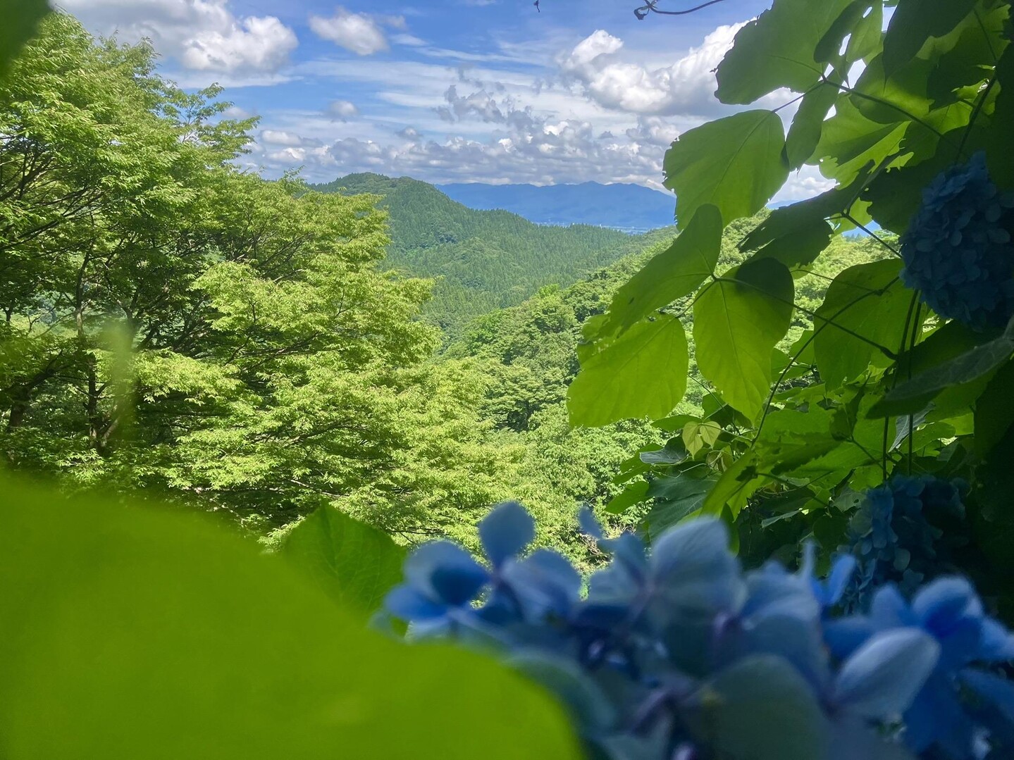 暑すぎ‼️☀️ ︎護摩堂山 / Naluさんの菩提寺山・高立山・護摩堂山の活動データ | YAMAP / ヤマップ