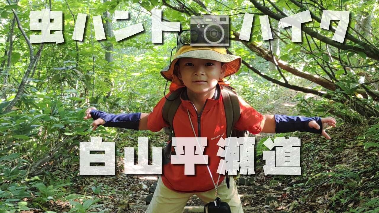 お山の想い出 https://yout... / kahi_kids hikerさんのモーメント | YAMAP / ヤマップ