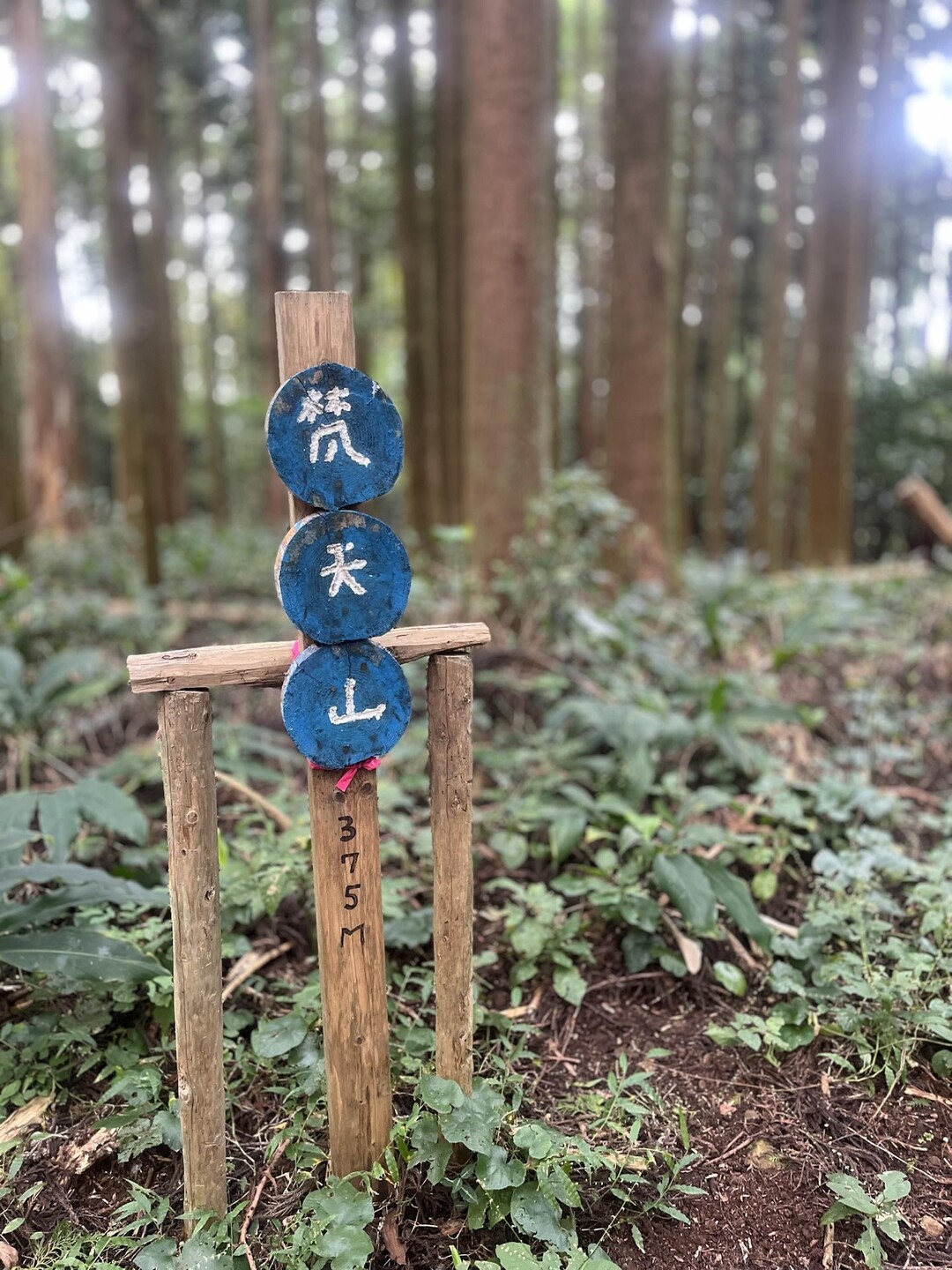 徳願寺山・梵天山 / alligatorfarmさんの焼津アルプス（高草山・満観峰・花沢山）・徳願寺山の活動データ | YAMAP / ヤマップ