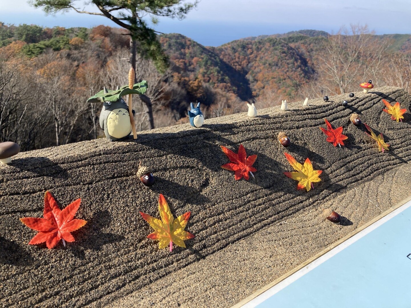 若須岳 / mi_chicoさんの若須岳の活動データ | YAMAP / ヤマップ