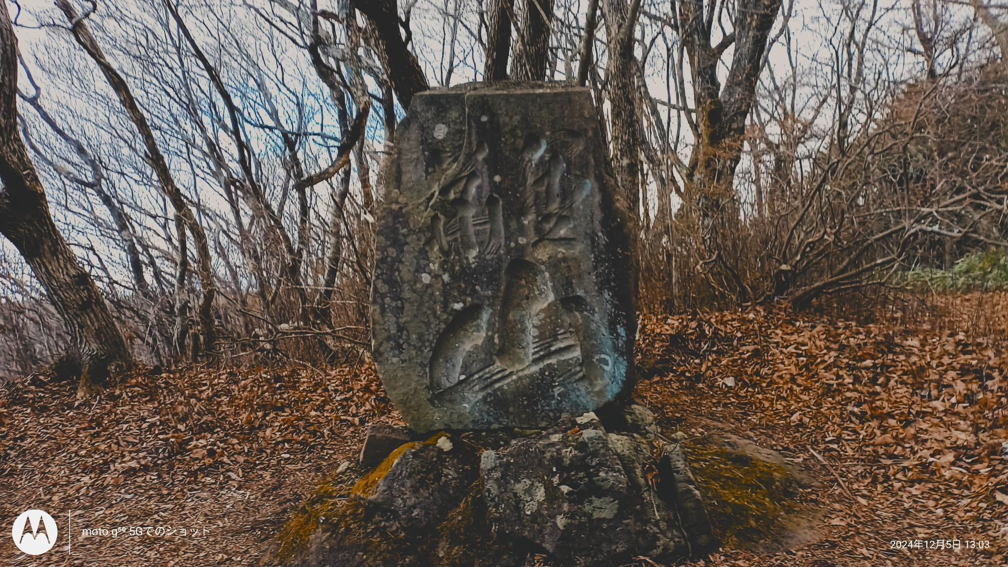 福島駅から霊山へ 行きと帰りは違う道で / man forestさんの霊山の活動データ | YAMAP / ヤマップ