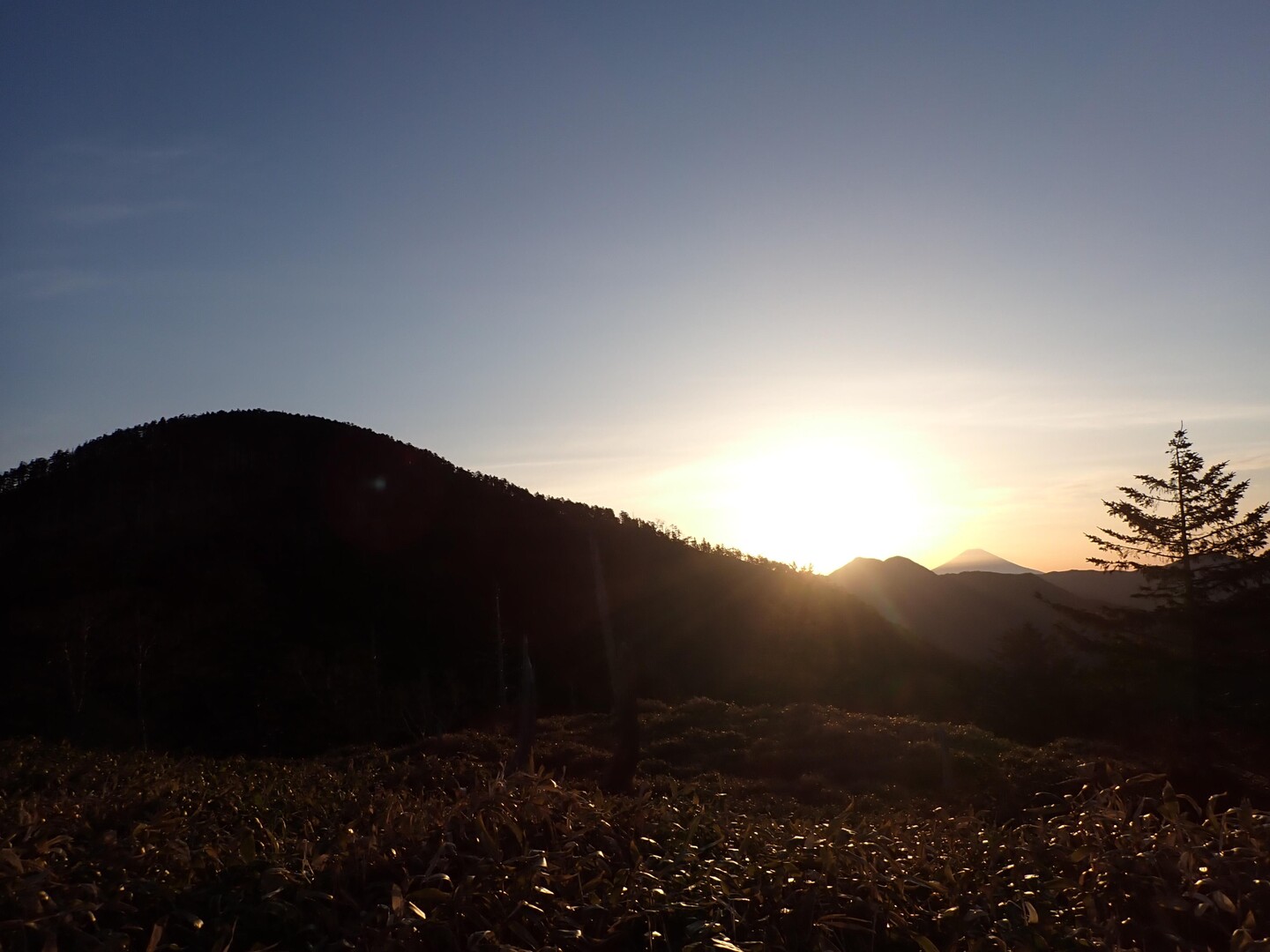 黒沢山〜中ノ尾根山 1泊2日 / HiROさんの池口岳・加加森山・光岳の活動日記 | YAMAP / ヤマップ