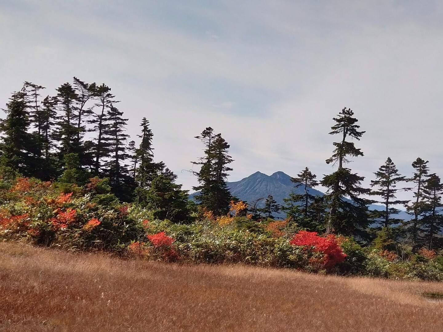 会津駒ヶ岳・中門岳 / moneさんの会津駒ヶ岳の活動データ | YAMAP / ヤマップ