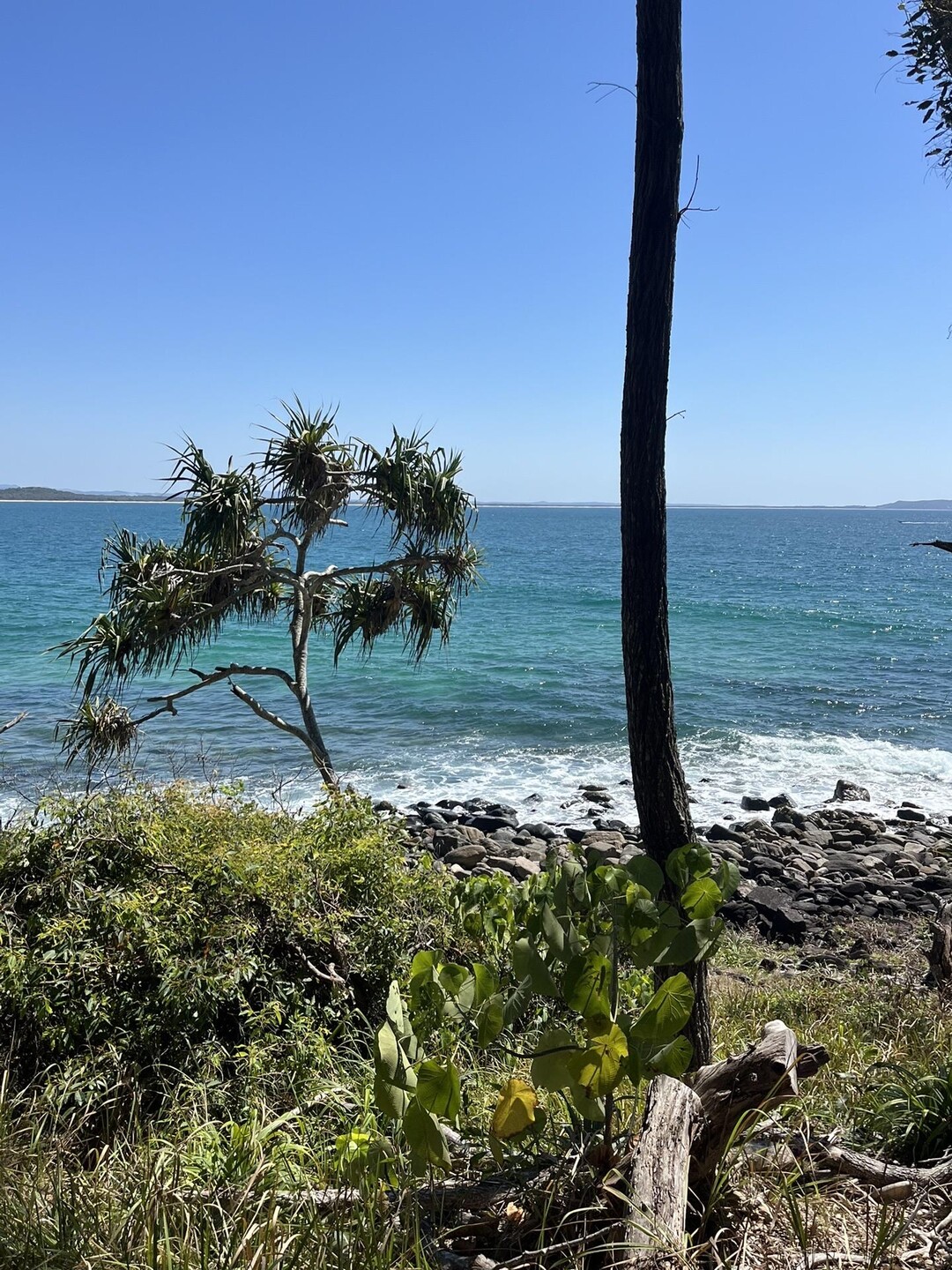 Noosa Hill / sakiさんのブリスベンの活動データ | YAMAP / ヤマップ