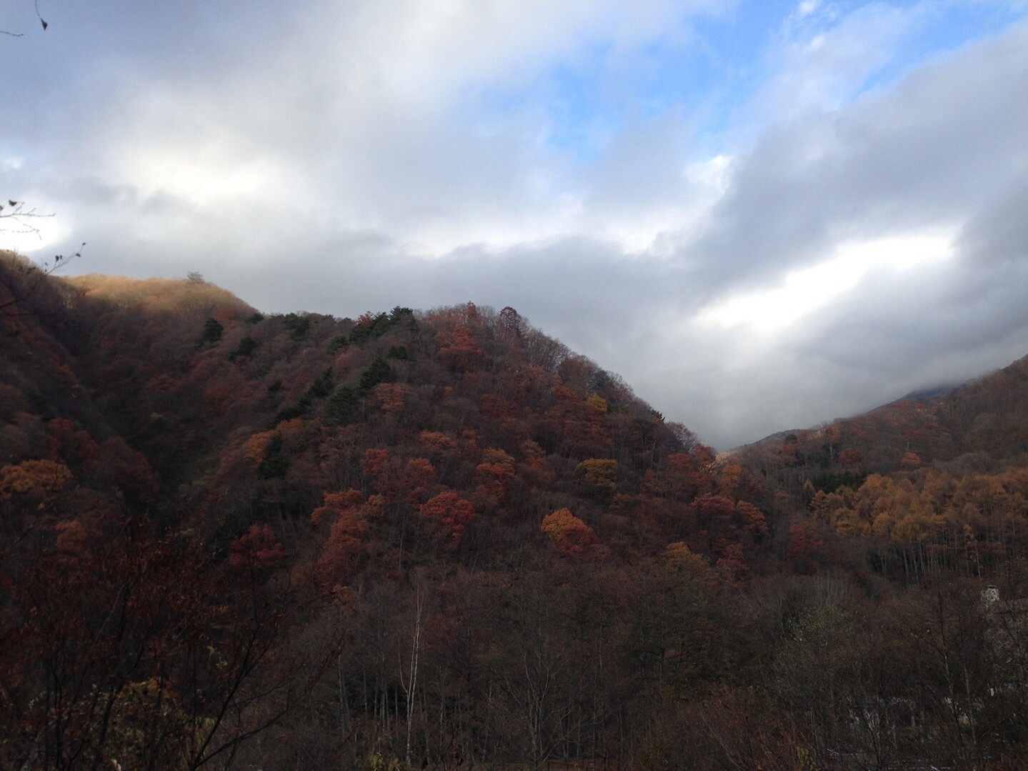 #29 Mt. Kobushigatake / Hiroさんの甲武信ヶ岳の活動データ | YAMAP / ヤマップ