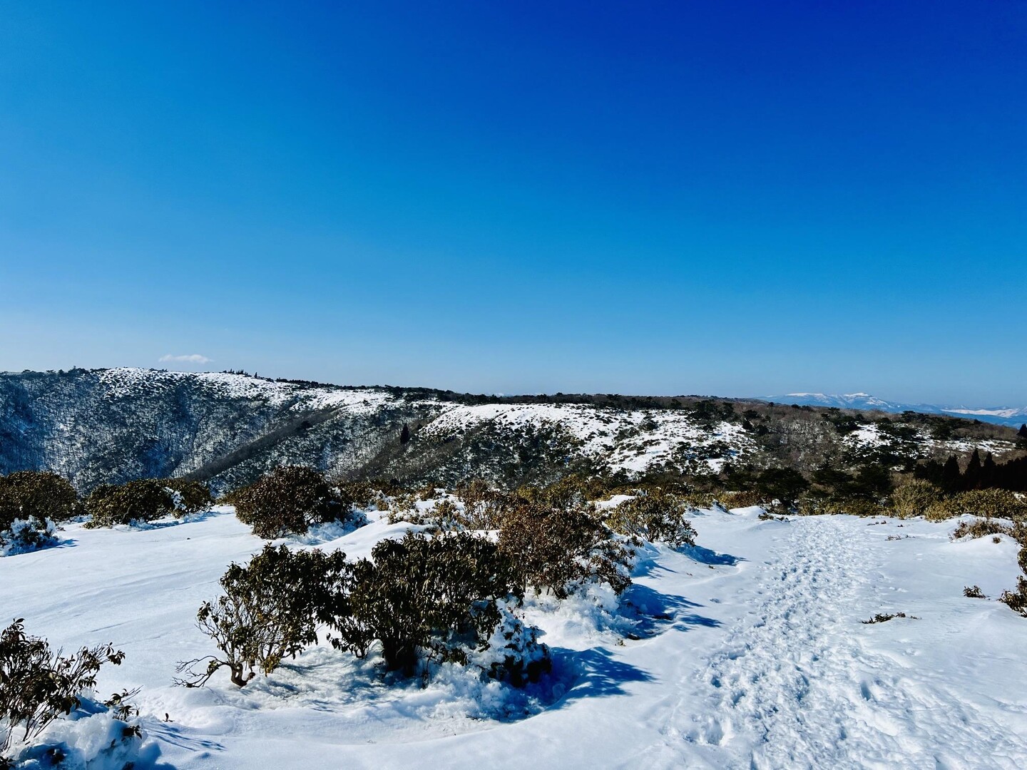 段ヶ峰 / KYOさんの段ヶ峰・笠杉山・千町ヶ峰の活動データ | YAMAP / ヤマップ