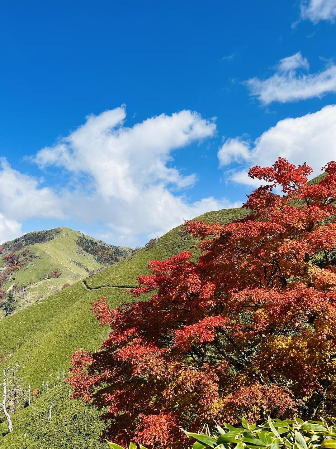 剣山・次郎笈・一ノ森 / ko2さんの剣山の活動データ | YAMAP / ヤマップ