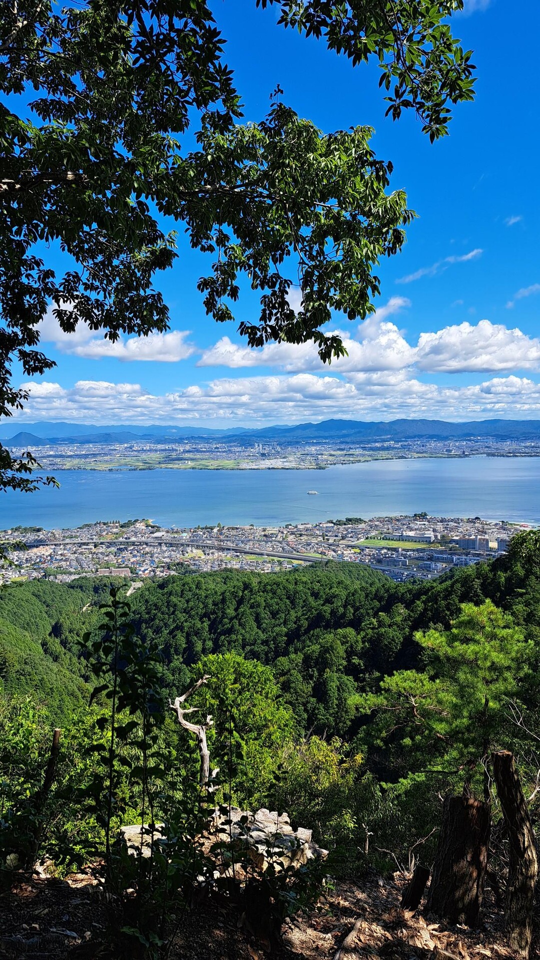 大比叡 / arrow.rさんの比叡山・横高山・梶山の活動データ | YAMAP / ヤマップ