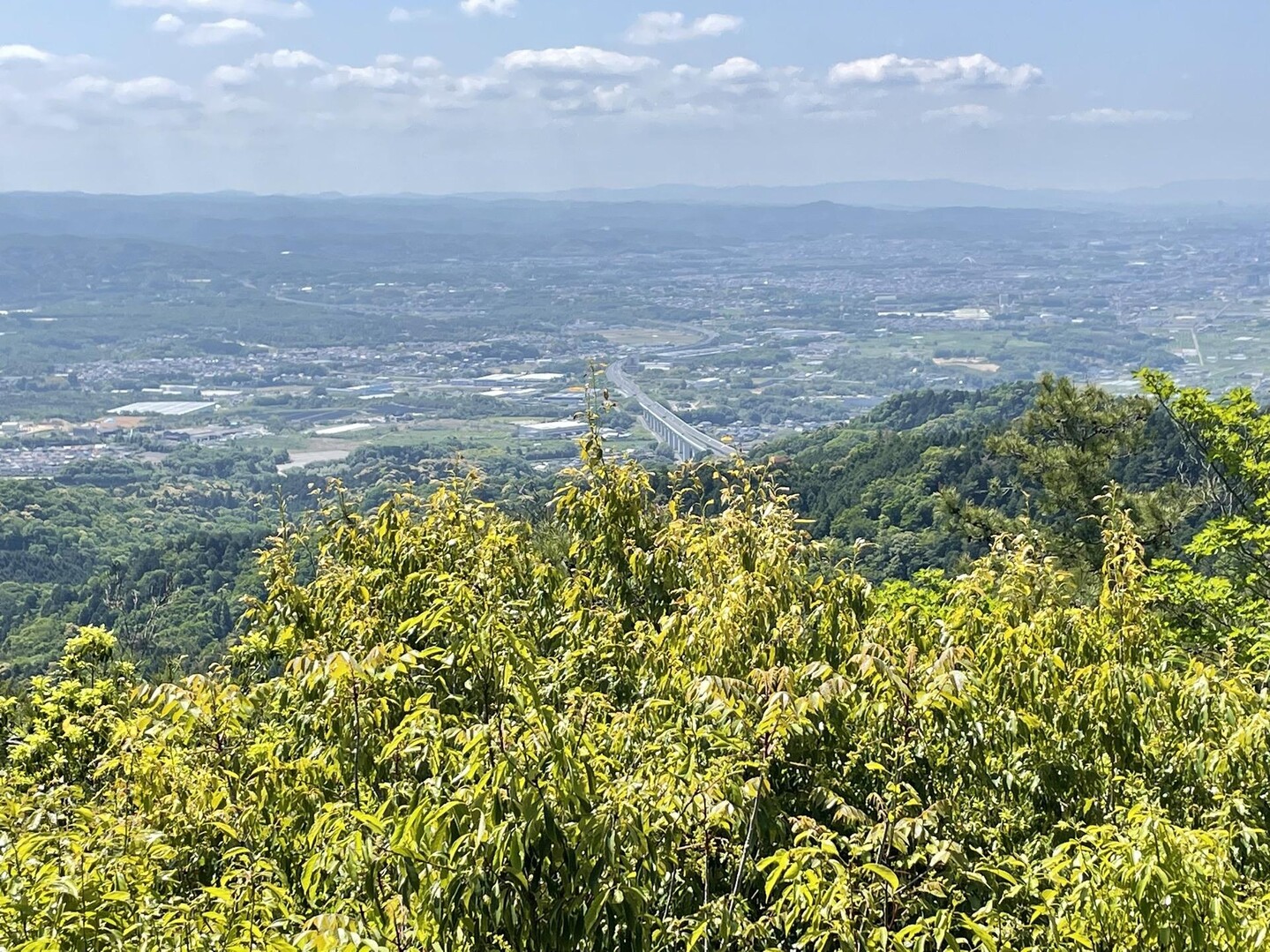 猿投山 大賑わい / aichi ksさんの猿投山・物見山の活動データ | YAMAP / ヤマップ