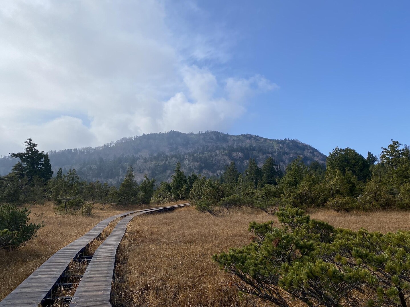 俎嵓・燧ヶ岳（柴安嵓） / THYさんの尾瀬・燧ヶ岳の活動データ | YAMAP / ヤマップ