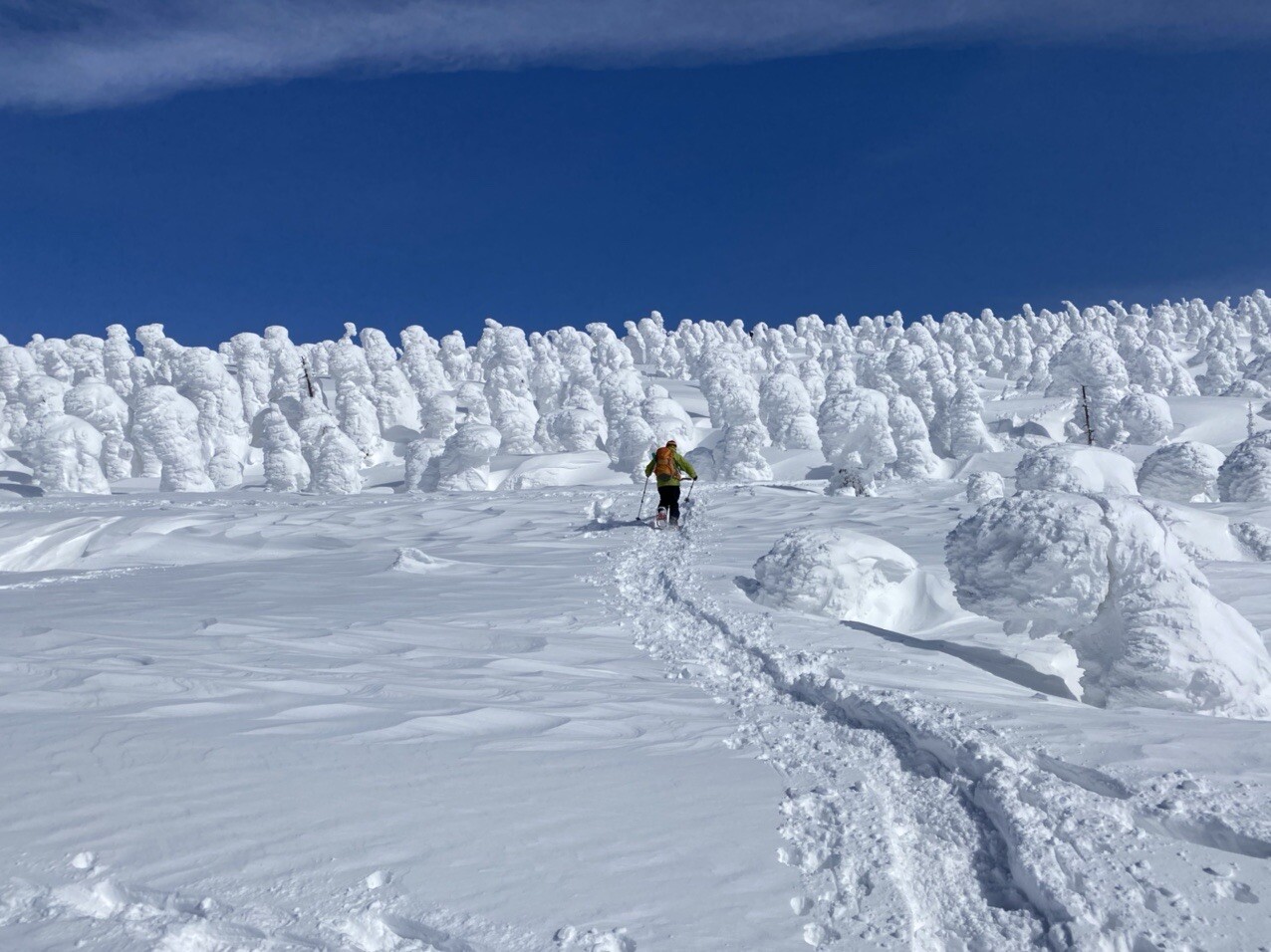 18座目 吾妻山 / Bii&Guunさんの吾妻山・一切経山の活動データ | YAMAP / ヤマップ