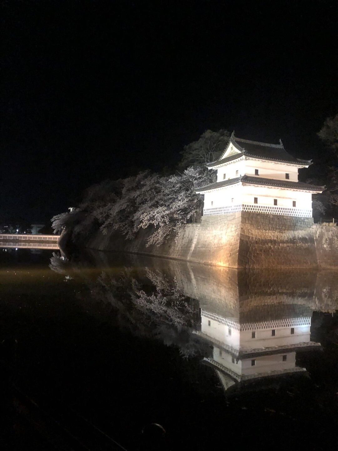 新発田夜桜🌸鑑賞 / srタカハシさんの五十公野山の活動データ | YAMAP / ヤマップ