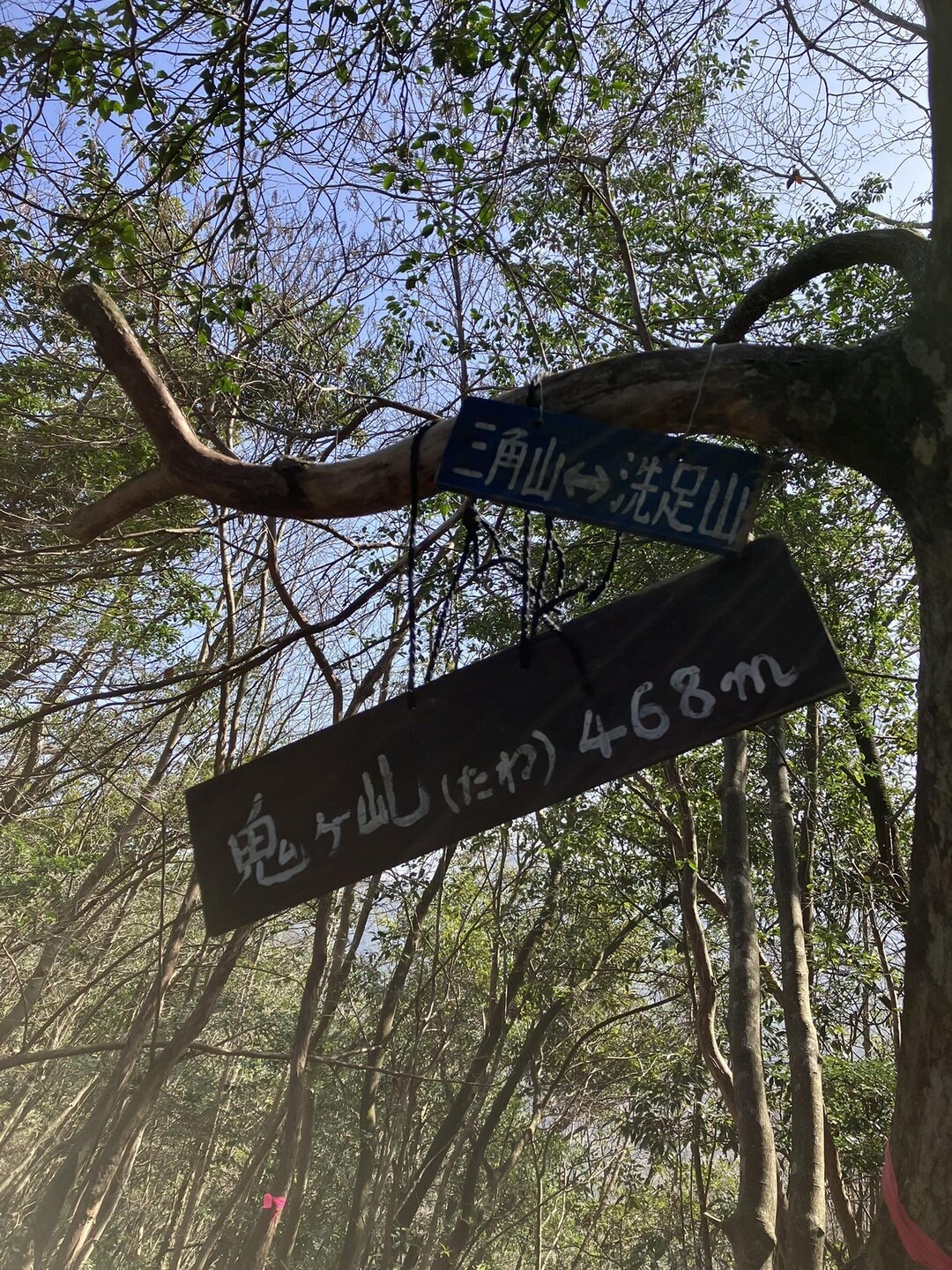 三角山・おおなる山・洗足山・牛臥山 / go−maruさんの用瀬アルプスの活動データ | YAMAP / ヤマップ