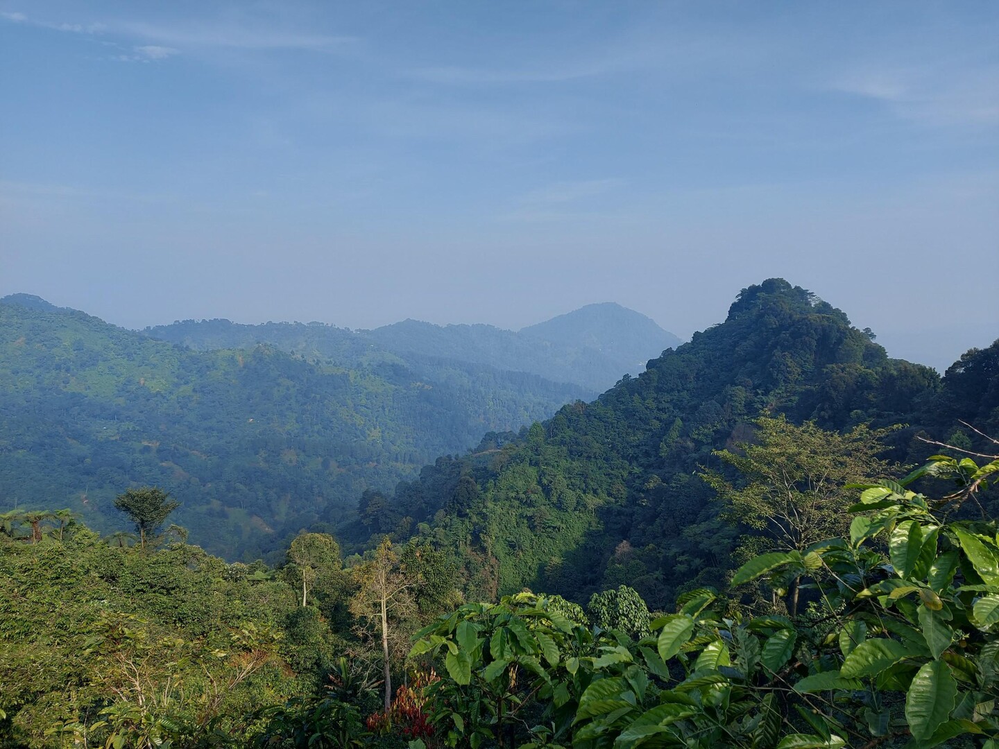PESONA ALAM LEUWIHEJOからの道確認 / OMUさんのクタ山の活動データ | YAMAP / ヤマップ