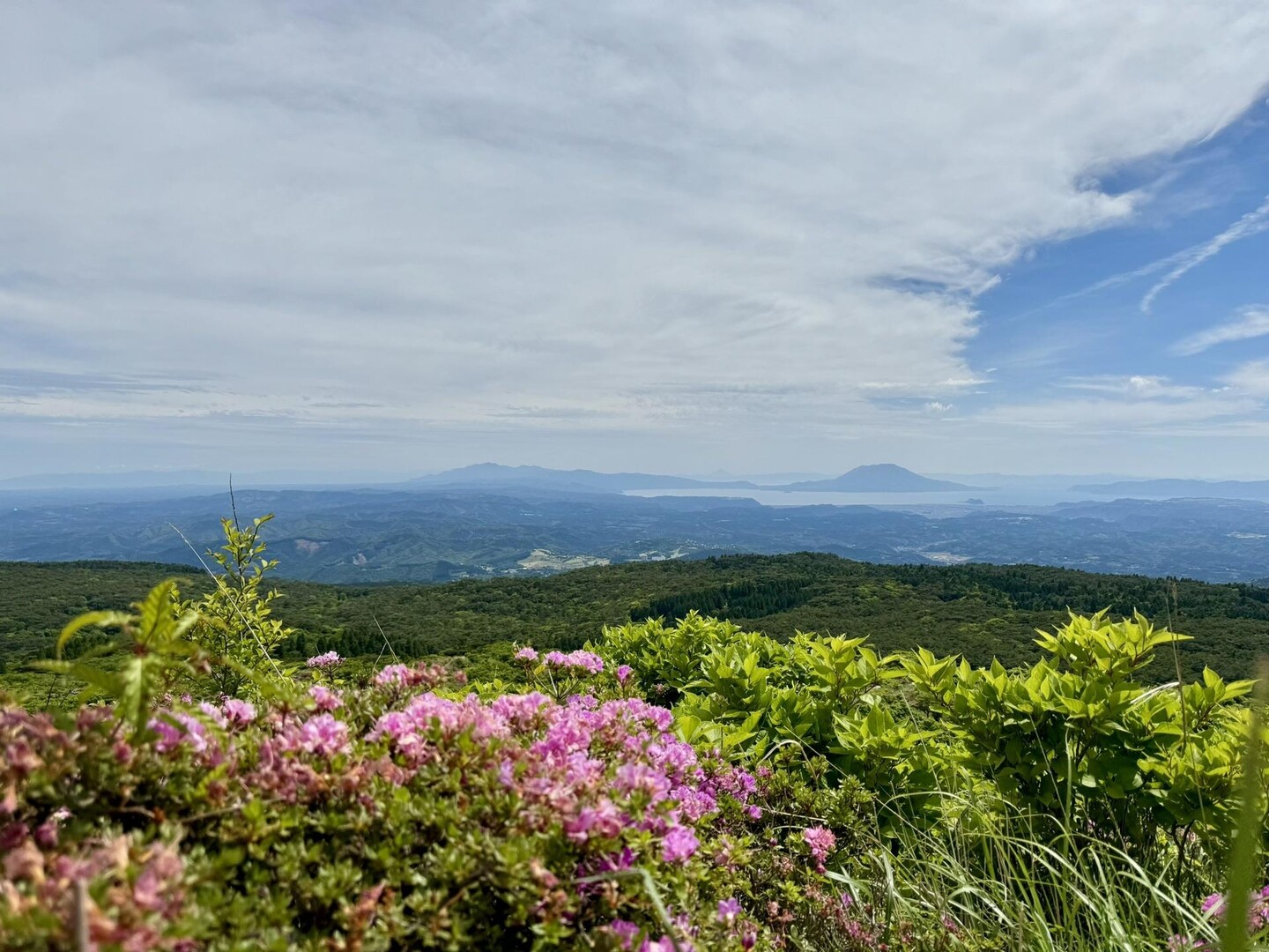 霧島中岳中腹でMK🌸散策 / Red-RAV4💫さんの霧島山・韓国岳・高千穂峰・夷守岳・烏帽子岳の活動データ | YAMAP / ヤマップ