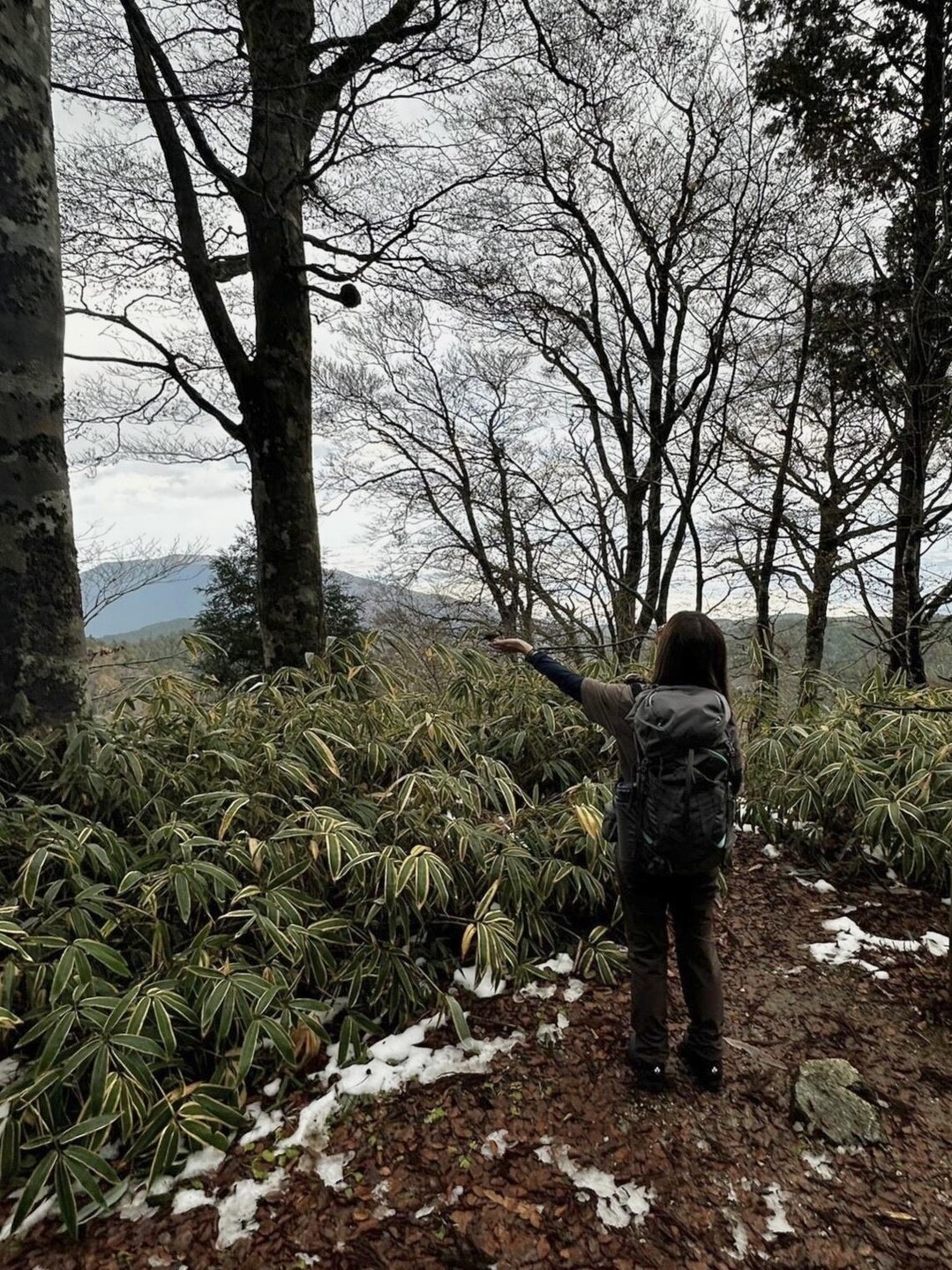 久しぶりの金剛山 / chibiさんの金剛山・二上山・大和葛城山の活動データ | YAMAP / ヤマップ