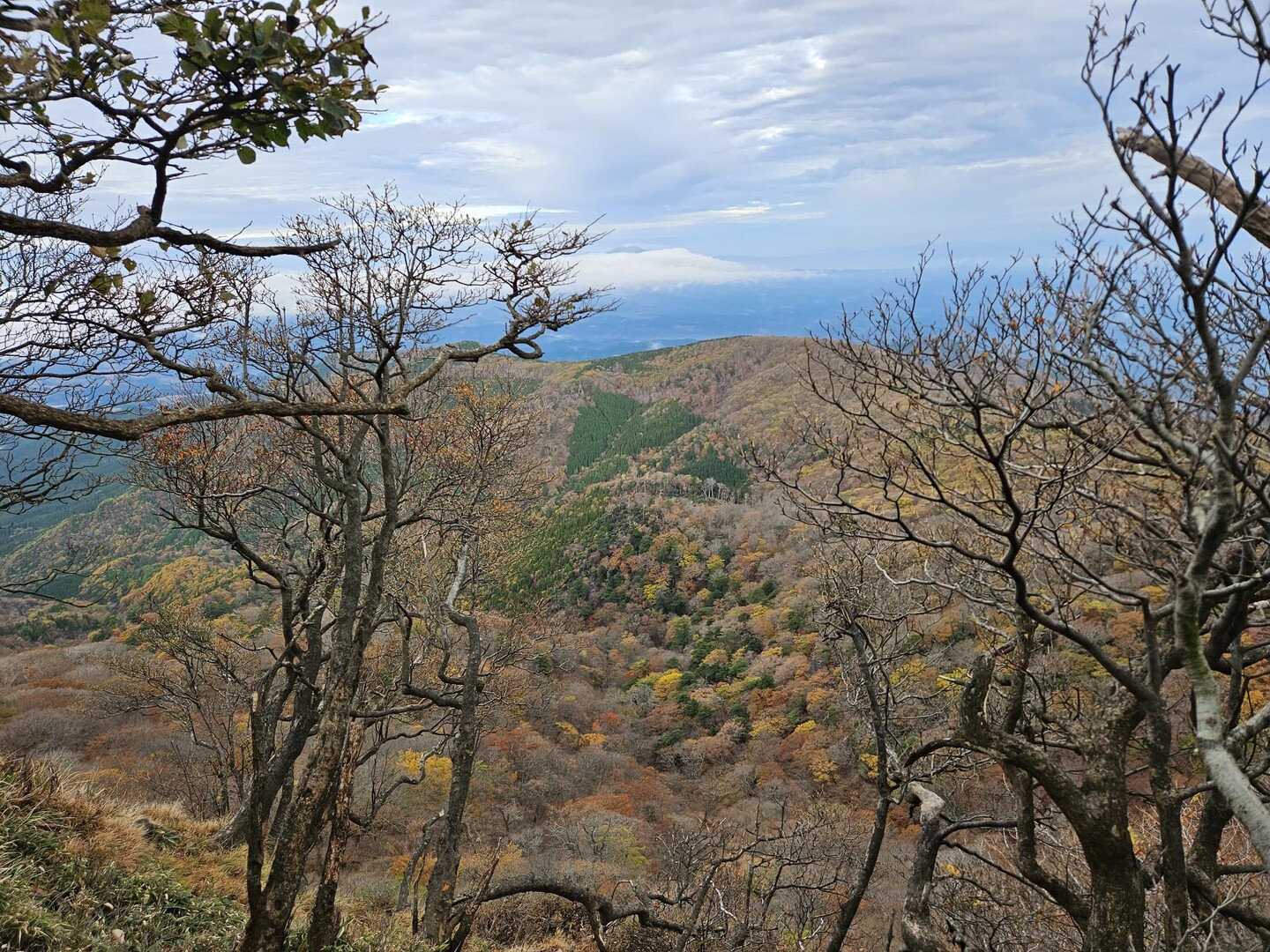 祖母山 / Danさんの祖母山の活動日記 | YAMAP / ヤマップ
