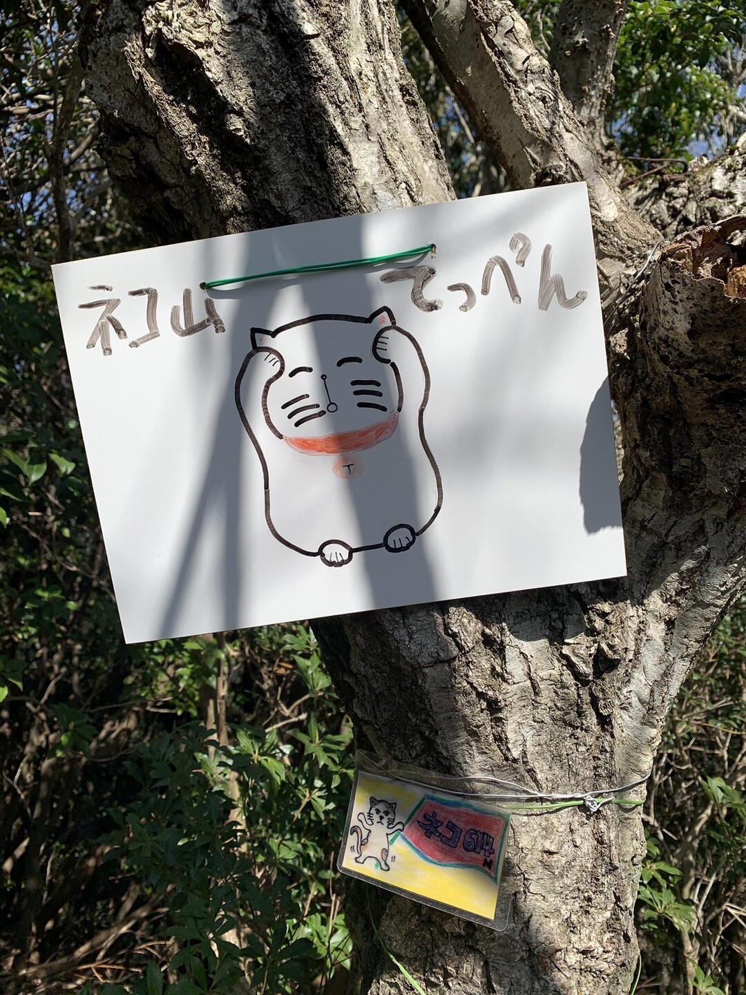 やっぱり春🌸はいいなぁ〜🤗 ネコ・笠岳・菰野富士 / れおんちゃんさんの御在所岳（御在所山）・雨乞岳の活動データ | YAMAP / ヤマップ