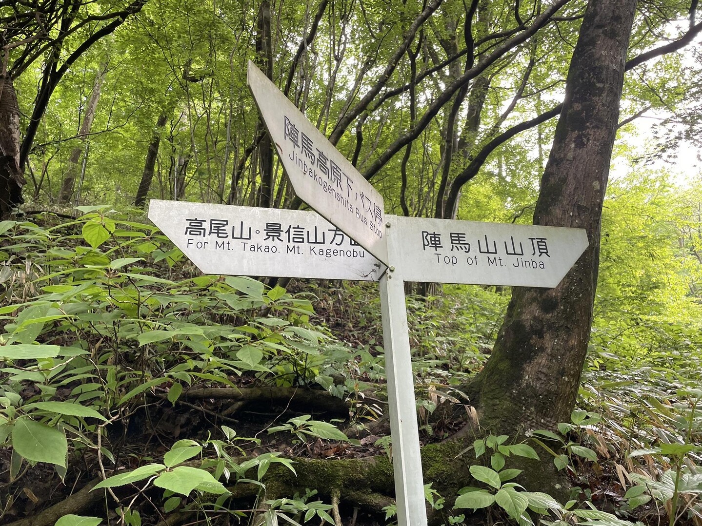 tsk-chaponさんの投稿したフィールドメモ | YAMAP / ヤマップ