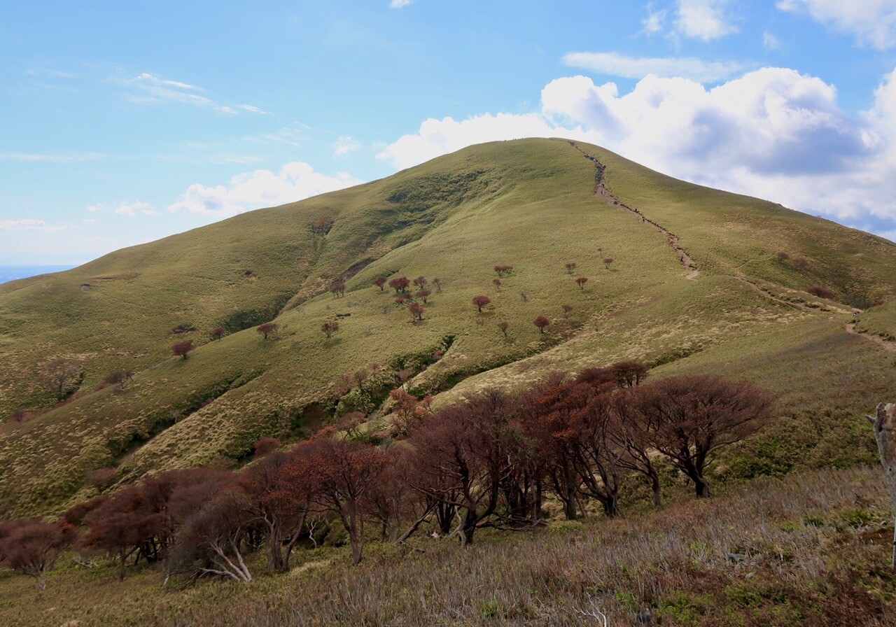 赤い羊は赤か 色？竜ヶ岳 / たけのこ zi ziさんの竜ヶ岳の活動日記 | YAMAP / ヤマップ