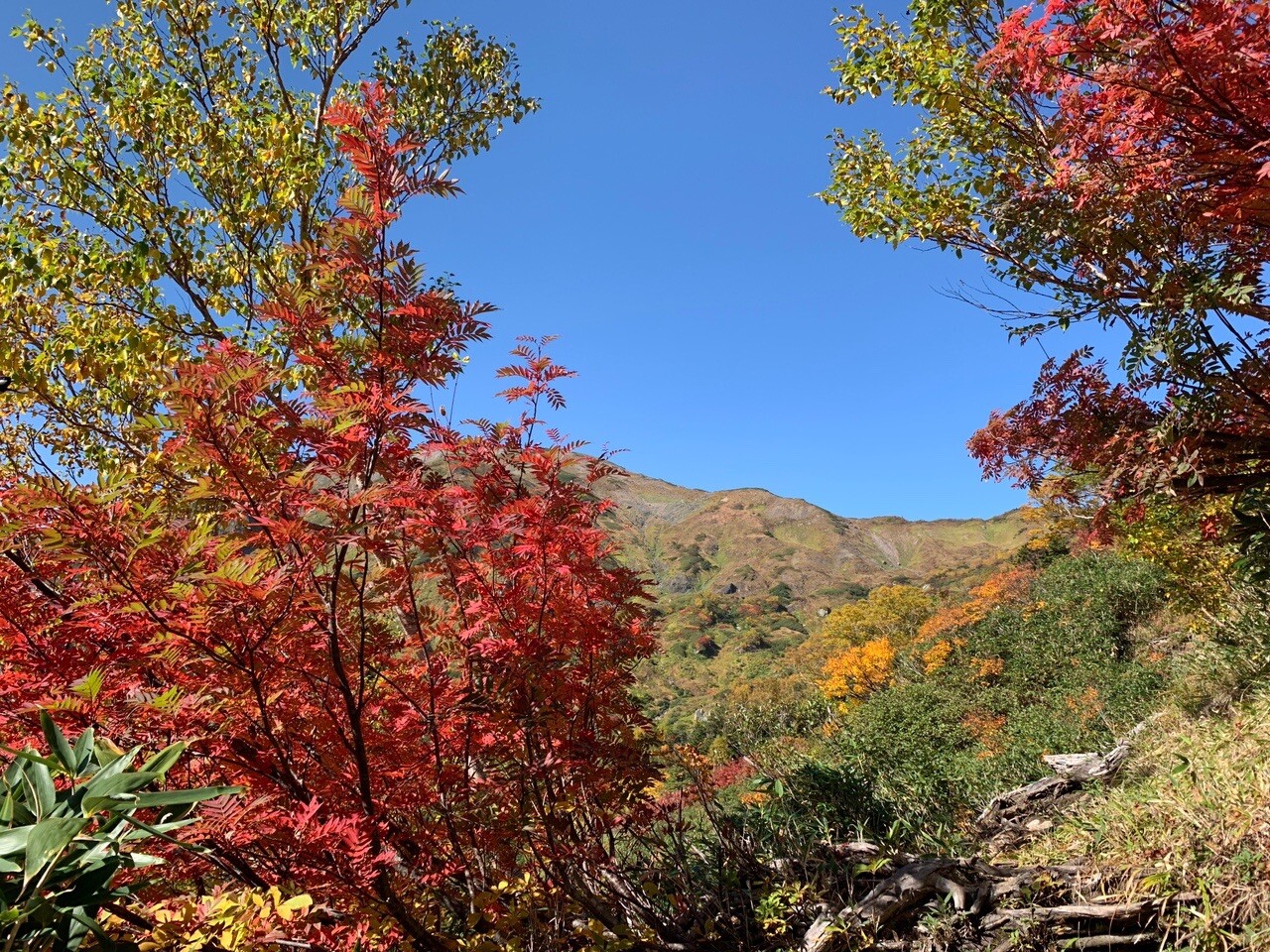 2021 10 3 蓮華温泉〜朝日岳〜白馬岳1 Machiさんの雪倉岳・朝日岳・風吹岳の活動データ Yamap ヤマップ