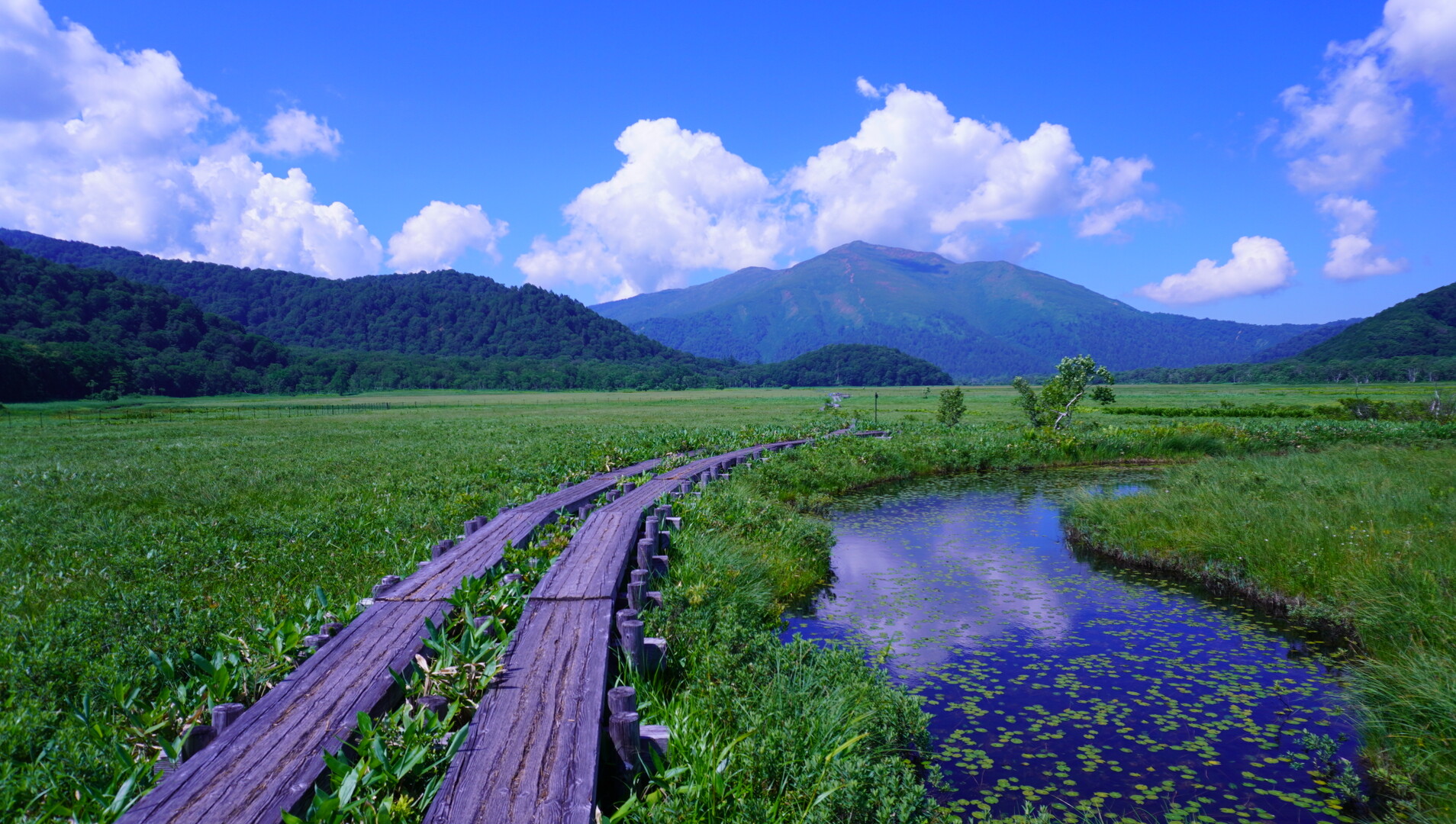 尾瀬ヶ原 から 至仏山 へ / Genie🧞‍♂️さんの尾瀬・至仏山・悪沢岳・笠ヶ岳の活動データ | YAMAP / ヤマップ