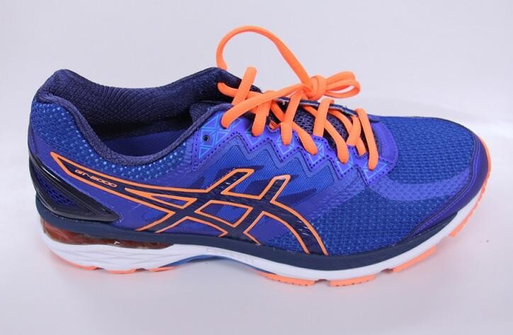 富士登山競走 最適シューズ検証活動 ASICS GT-2000 編 / 柴犬 ♀7.5kgさんの富士山の活動日記 | YAMAP / ヤマップ
