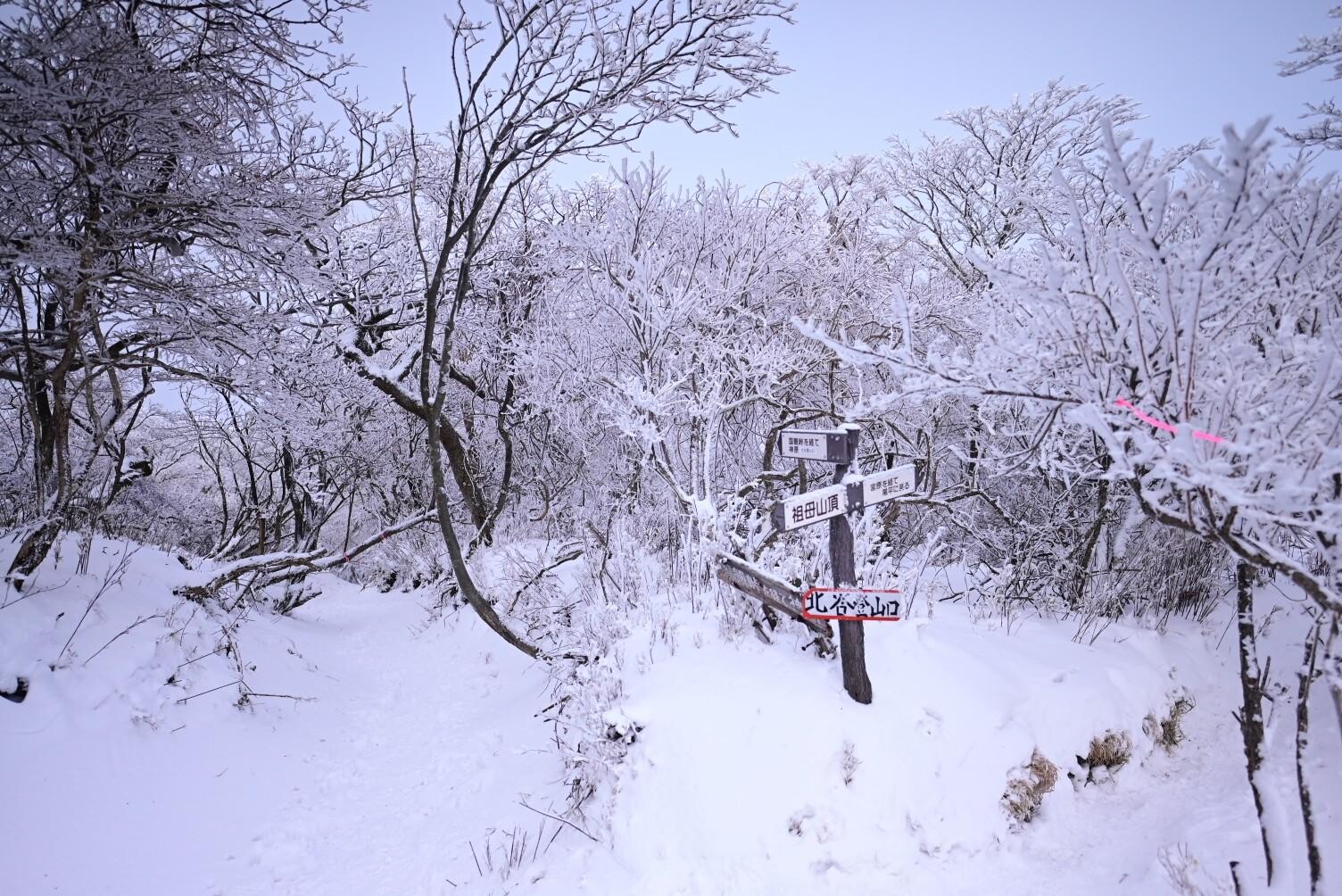 西日本百名山巡り④祖母山 / yudaiさんの祖母山の活動データ | YAMAP / ヤマップ