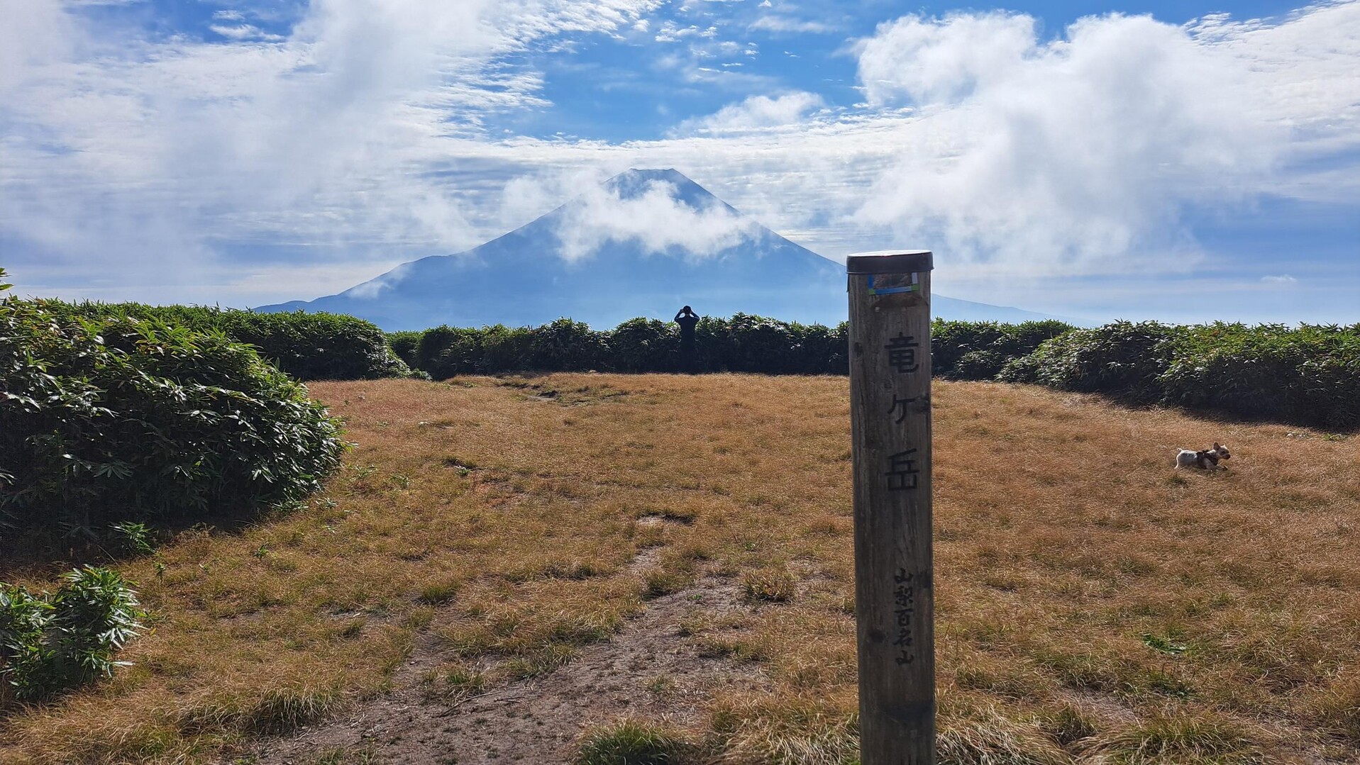 竜ヶ岳 / el28さんの毛無山・雨ヶ岳・竜ヶ岳の活動データ | YAMAP / ヤマップ