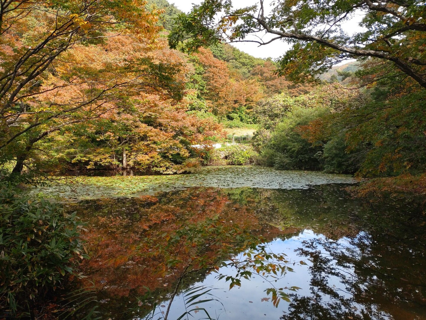 uruのページ | YAMAP / ヤマップ