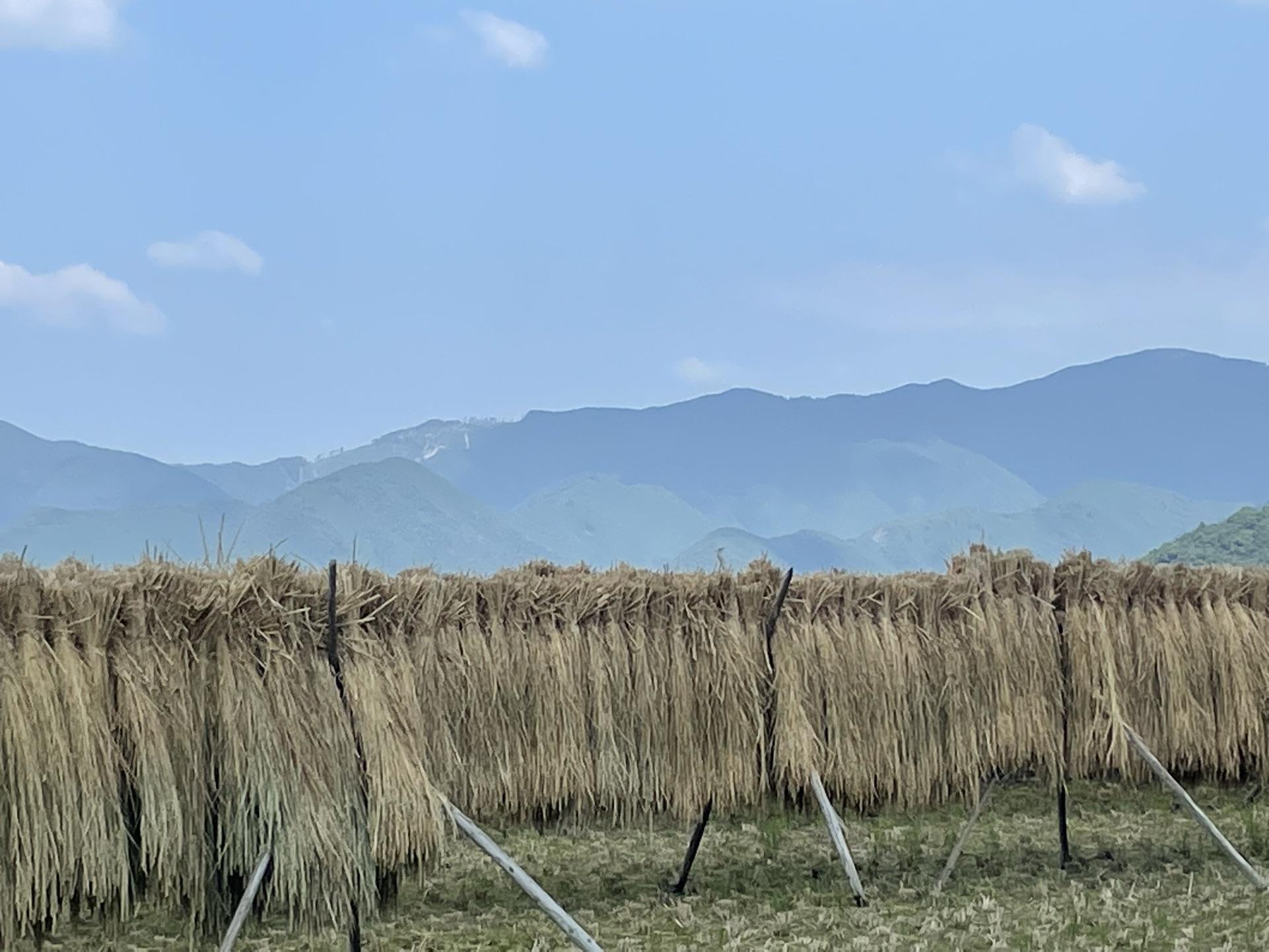 熊野古道 中辺路（滝尻王子〜熊野本宮大社） / mas3さんの熊野古道 中辺路①（紀伊田辺駅〜熊野本宮大社）の活動データ | YAMAP / ヤマップ