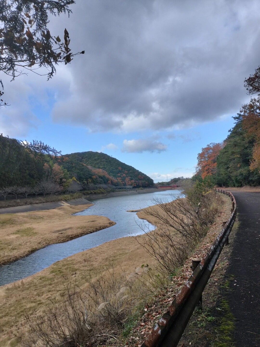 寒い日こそ、ぶらりWalk🎶泉南丘陵 / すってんころりんさんの紀泉アルプス・飯盛山・ボンデン山の活動データ | YAMAP / ヤマップ